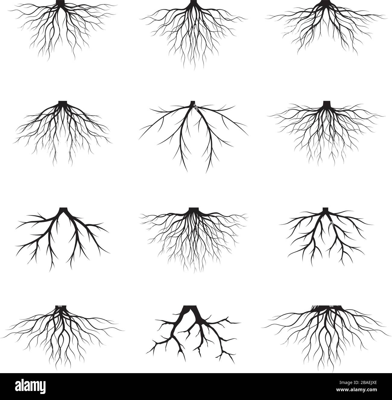 Set of Black Trees Roots. Vector Illustration. Collection of icons ...