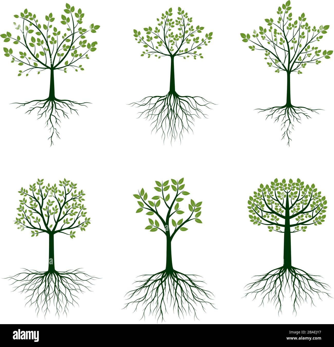 Set of Trees with Roots and Leaves. Vector Illustration. Collection of ...
