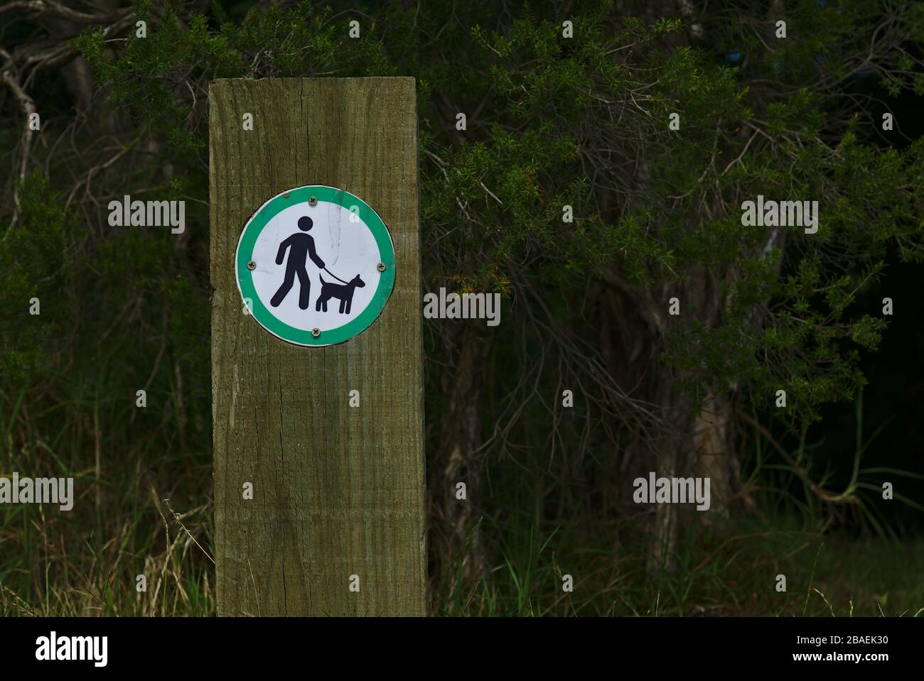 Guide dogs allowed signage hi-res stock photography and images - Alamy