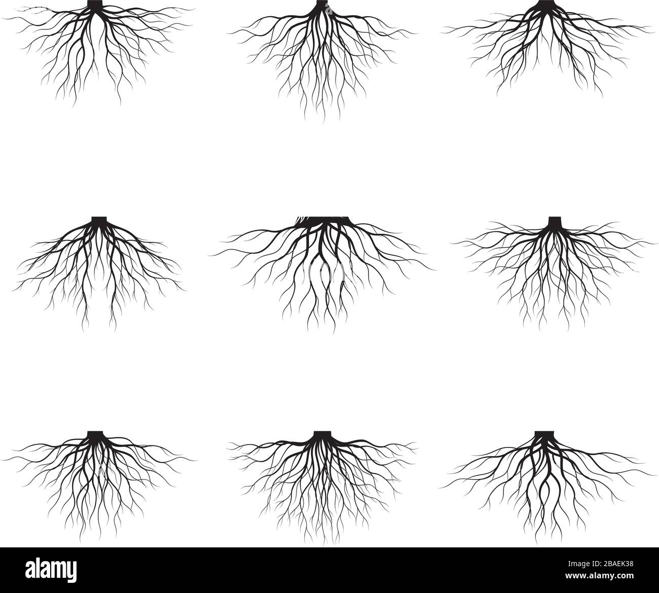 Set of Black Trees Roots. Vector Illustration. Collection of icons ...