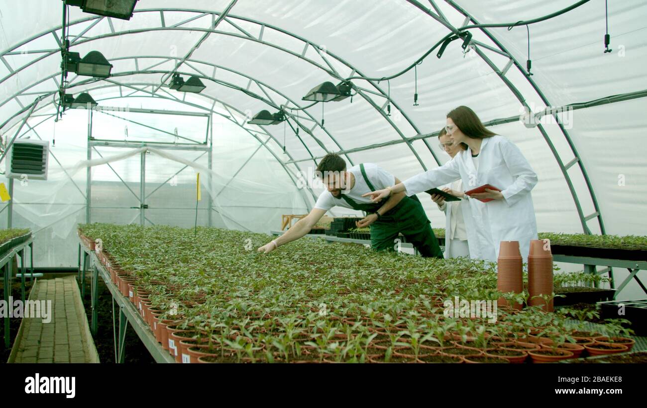 Farmer showing growing crops to young scientists Stock Photo - Alamy