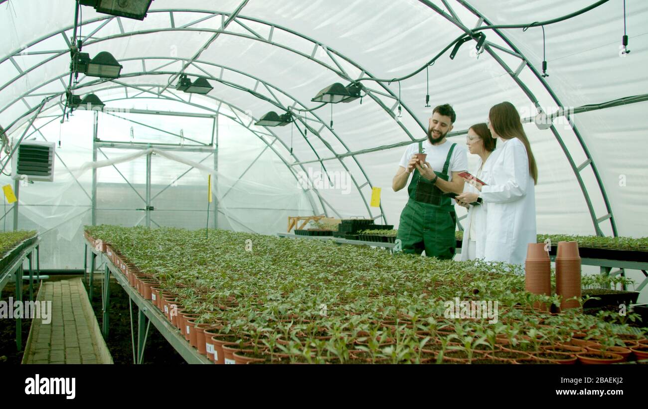 Farmer showing growing crops to young scientists Stock Photo - Alamy