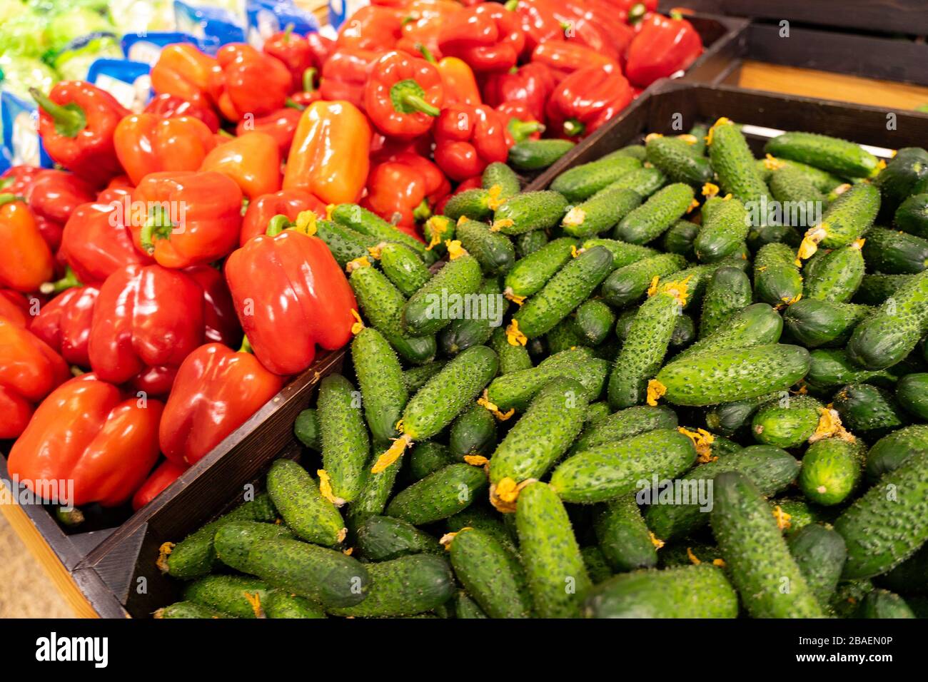 Cucumber from kalimantan hi-res stock photography and images - Alamy