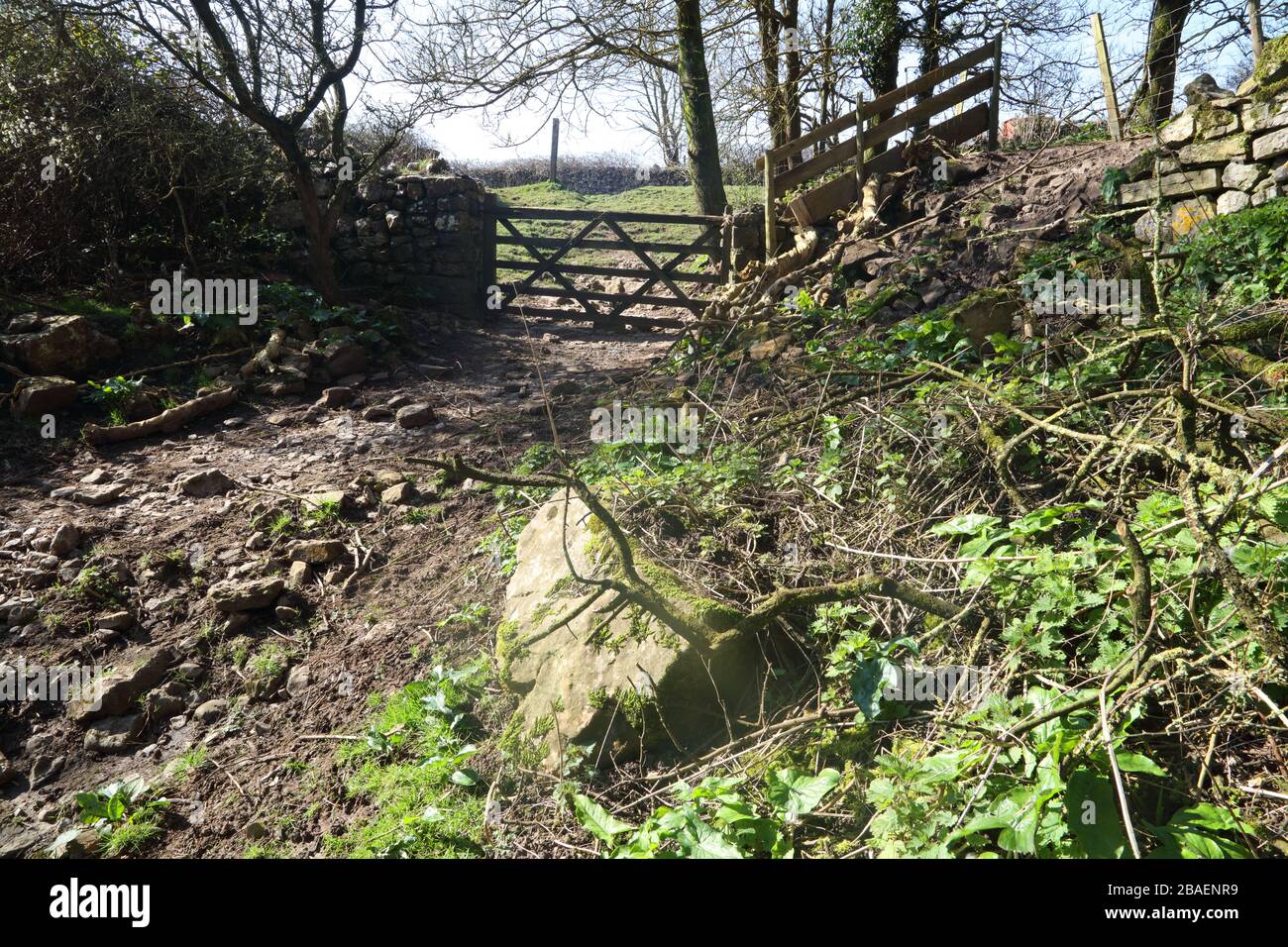 Trodden ground hi-res stock photography and images - Alamy