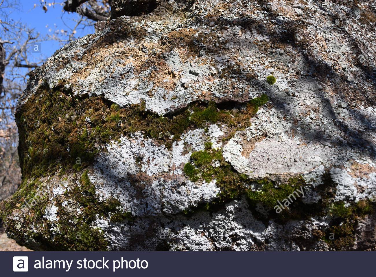 Lichen On Rock Rocks High Resolution Stock Photography and Images - Alamy