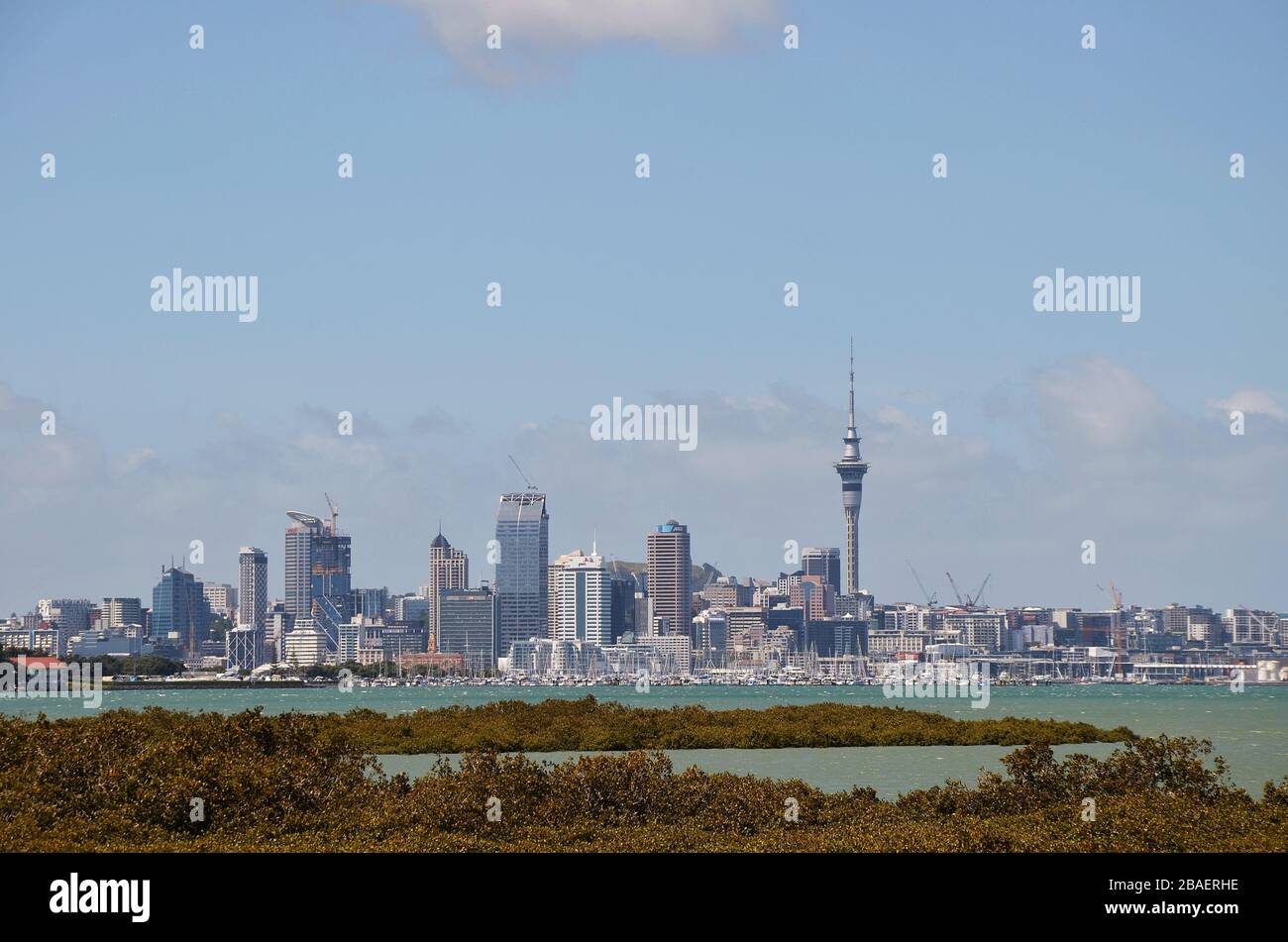 Skyline of Auckland seen from the bay Stock Photo - Alamy