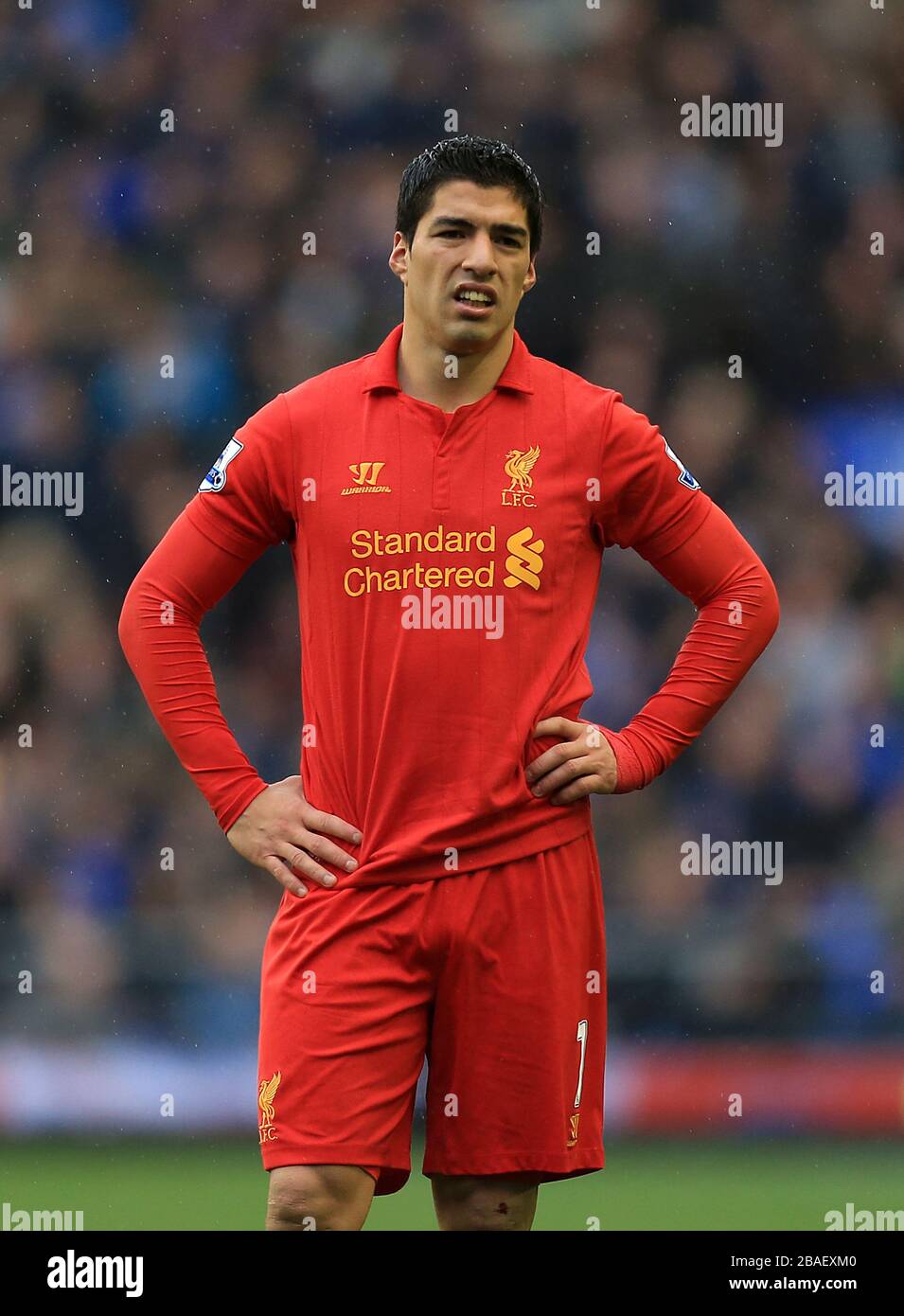 Luis Suarez, Liverpool Stock Photo - Alamy