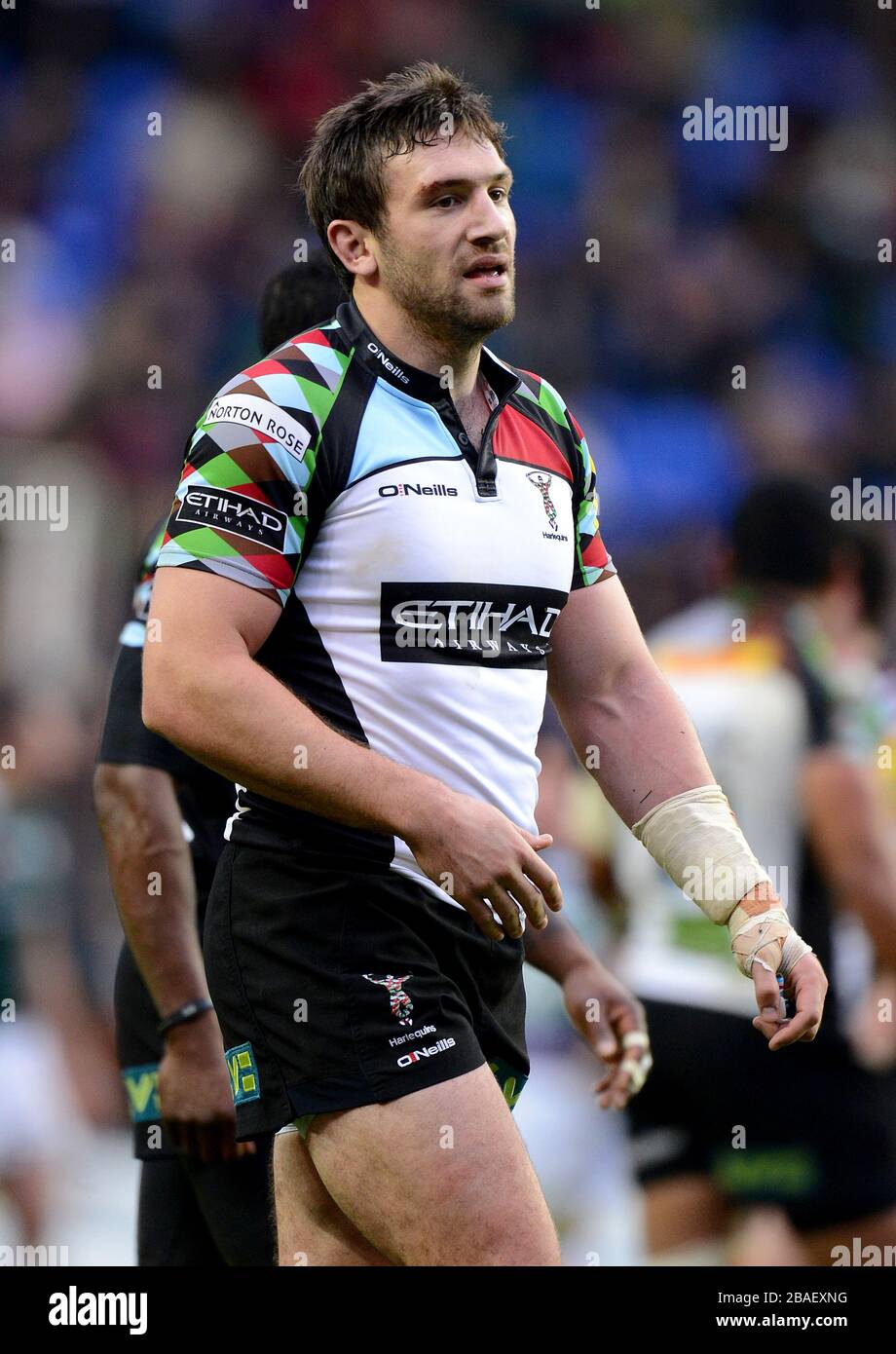 Harlequins hi-res stock photography and images - Alamy