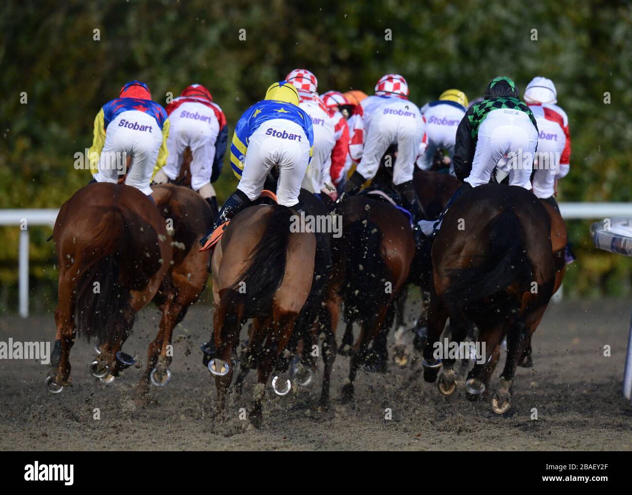 Full Length Horses Horse Racing High Resolution Stock Photography and ...