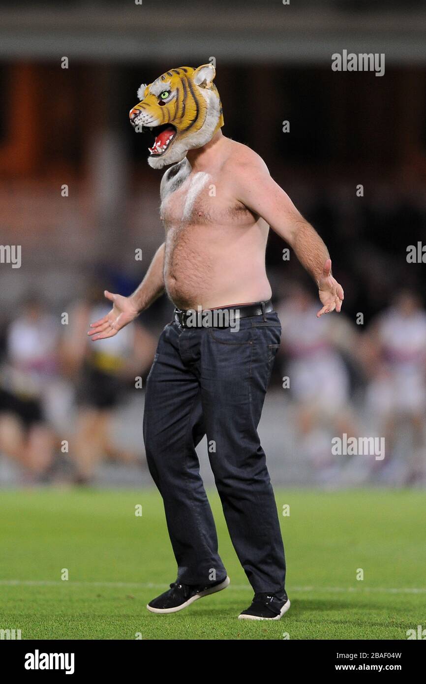 A spectator wearing a tiger mask invades the pitch Stock Photo - Alamy