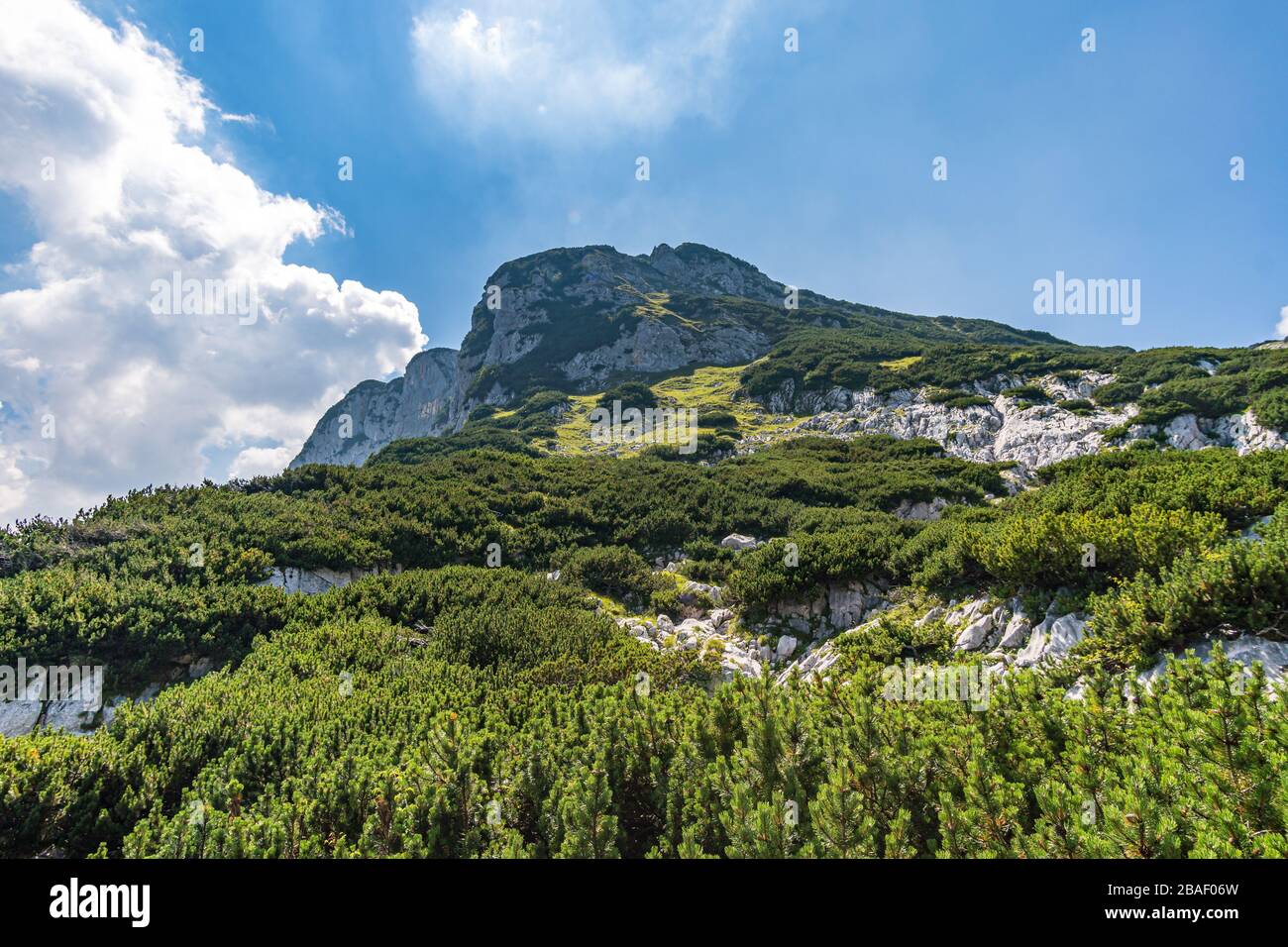 Wonderful hike to the Salzburg high throne via Thomas-Eder-Steig in the ...
