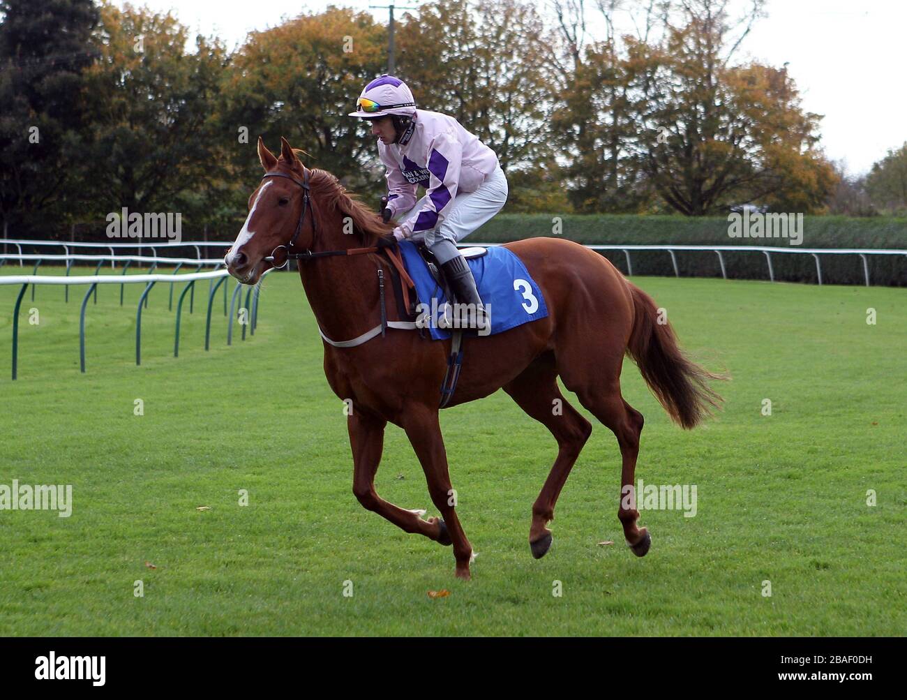 Whitecrest ridden by Chris Catlin goes to post in The Trojan Horse ...