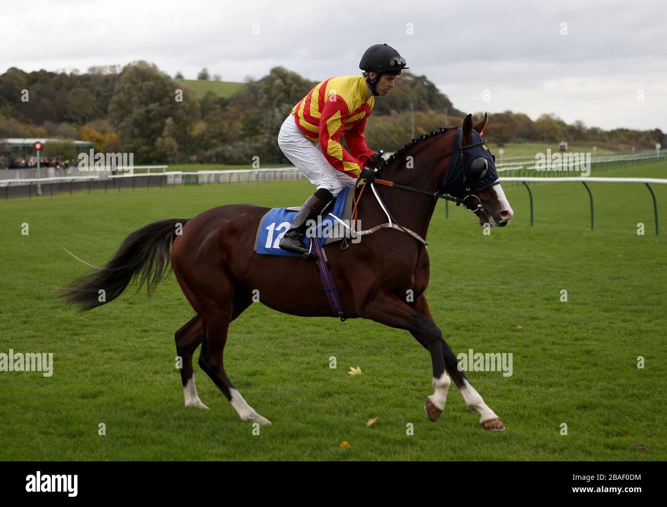 Morgan lee hi-res stock photography and images - Alamy