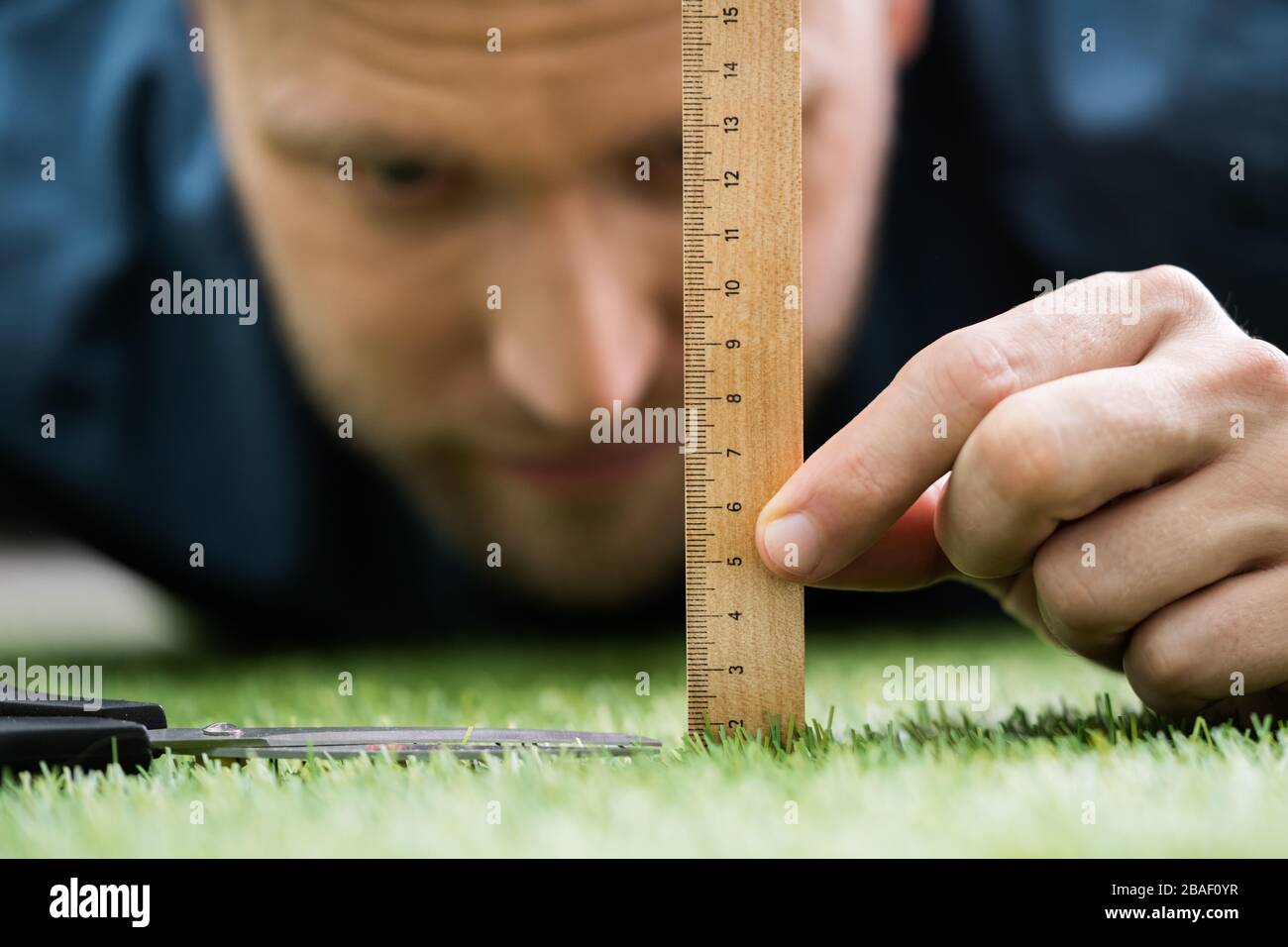 Close-up Of A Man Cutting Green Grass Measured With Ruler Stock Photo ...