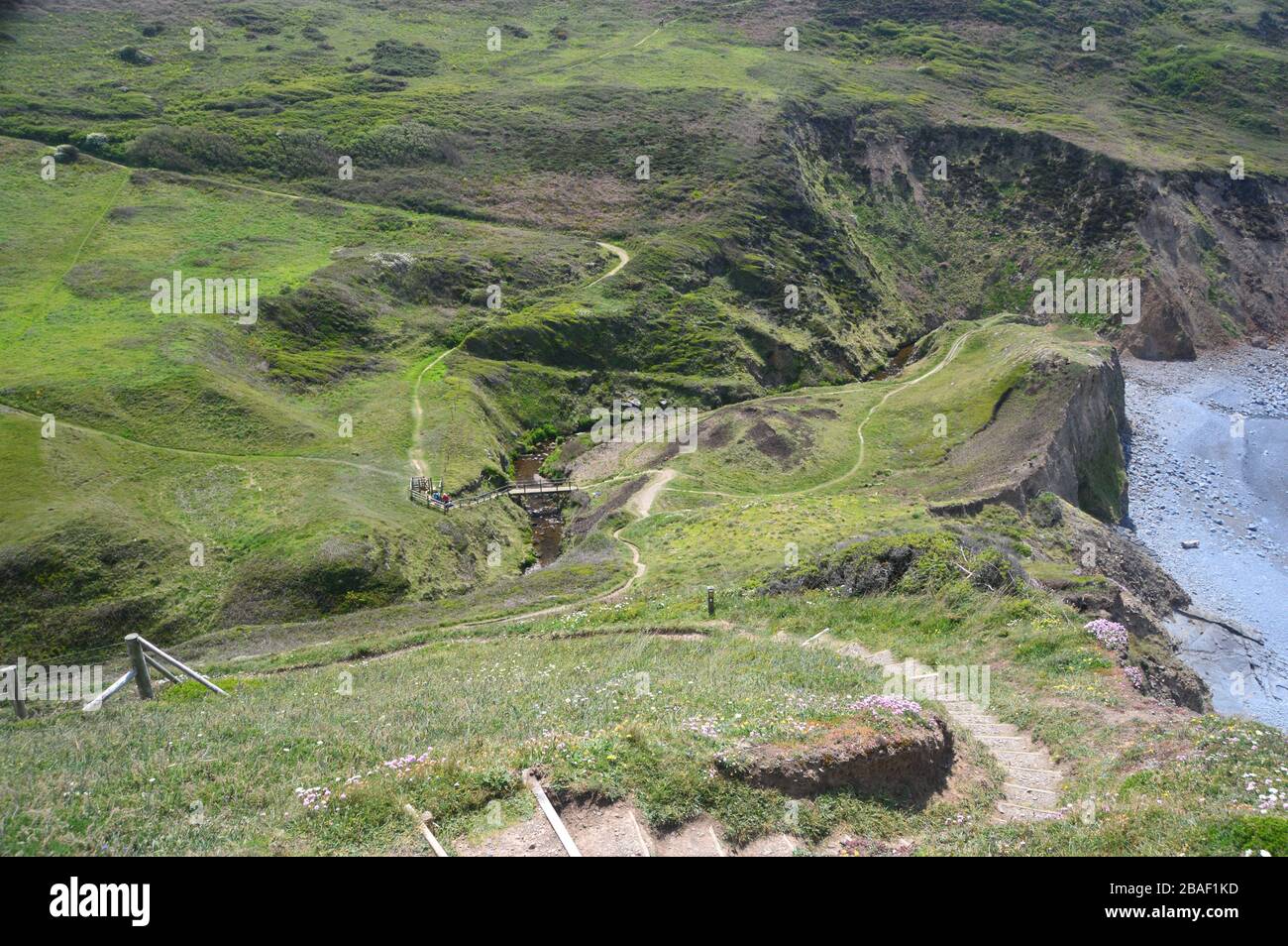 Cornwall devon border hi-res stock photography and images - Alamy
