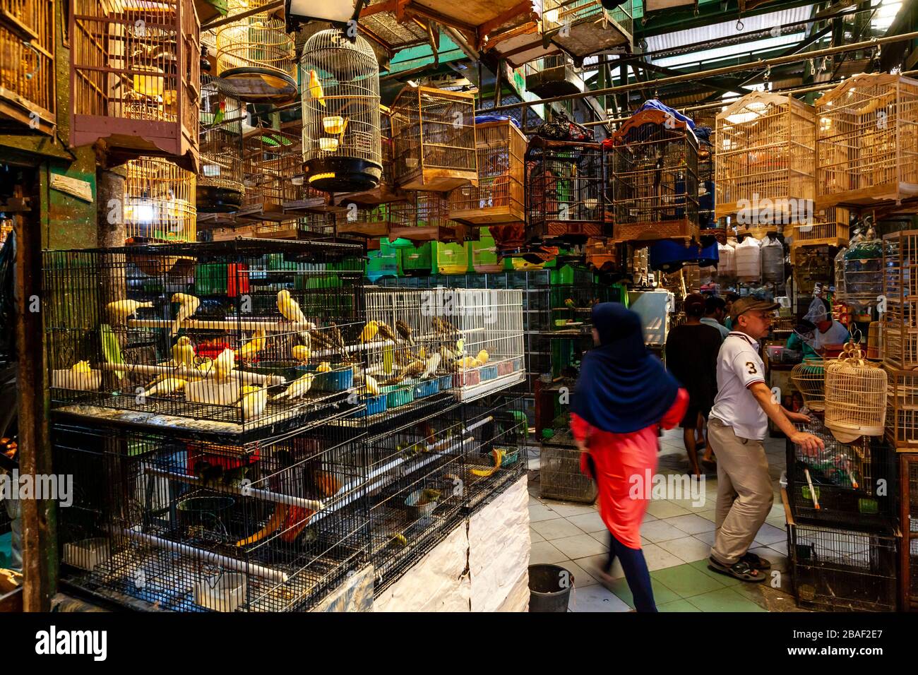 Indonesian People Looking At and Buying Birds At The Pramuka Bird ...