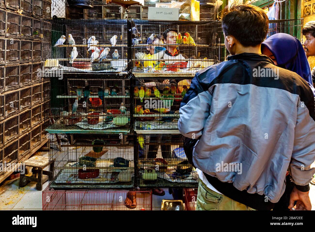 Indonesian People Looking At and Buying Birds At The Pramuka Bird ...