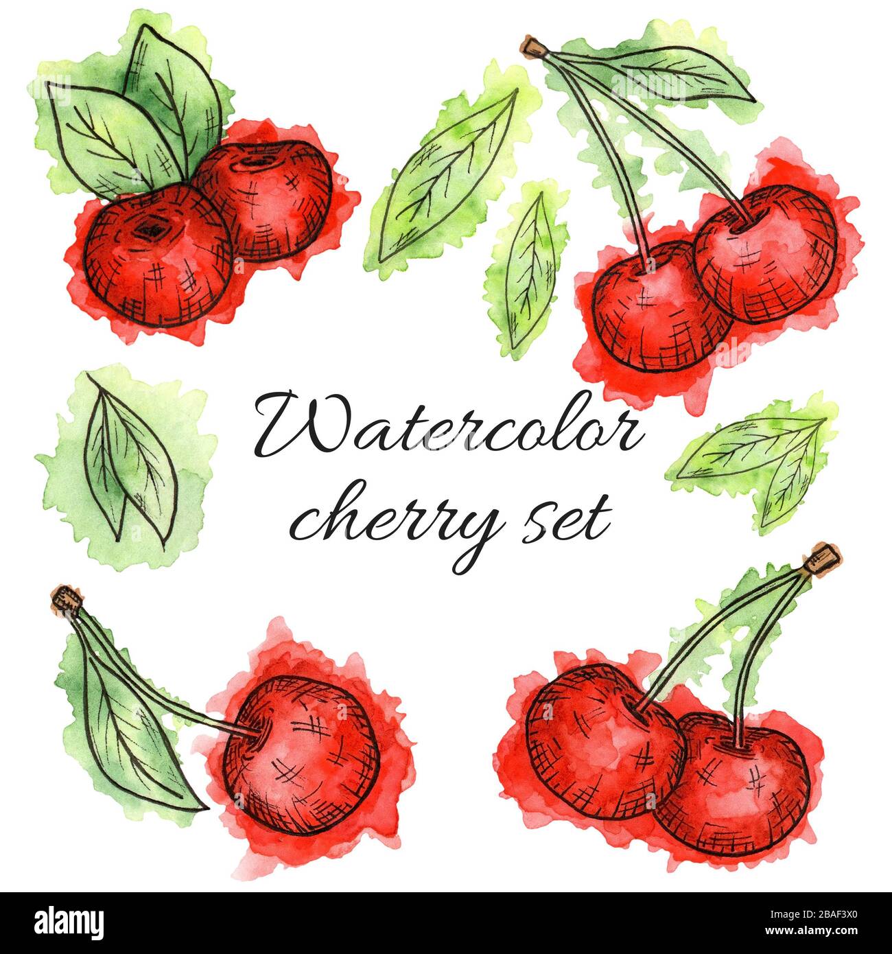 Set of cherries painted in watercolor on white background. Hand drawn ...