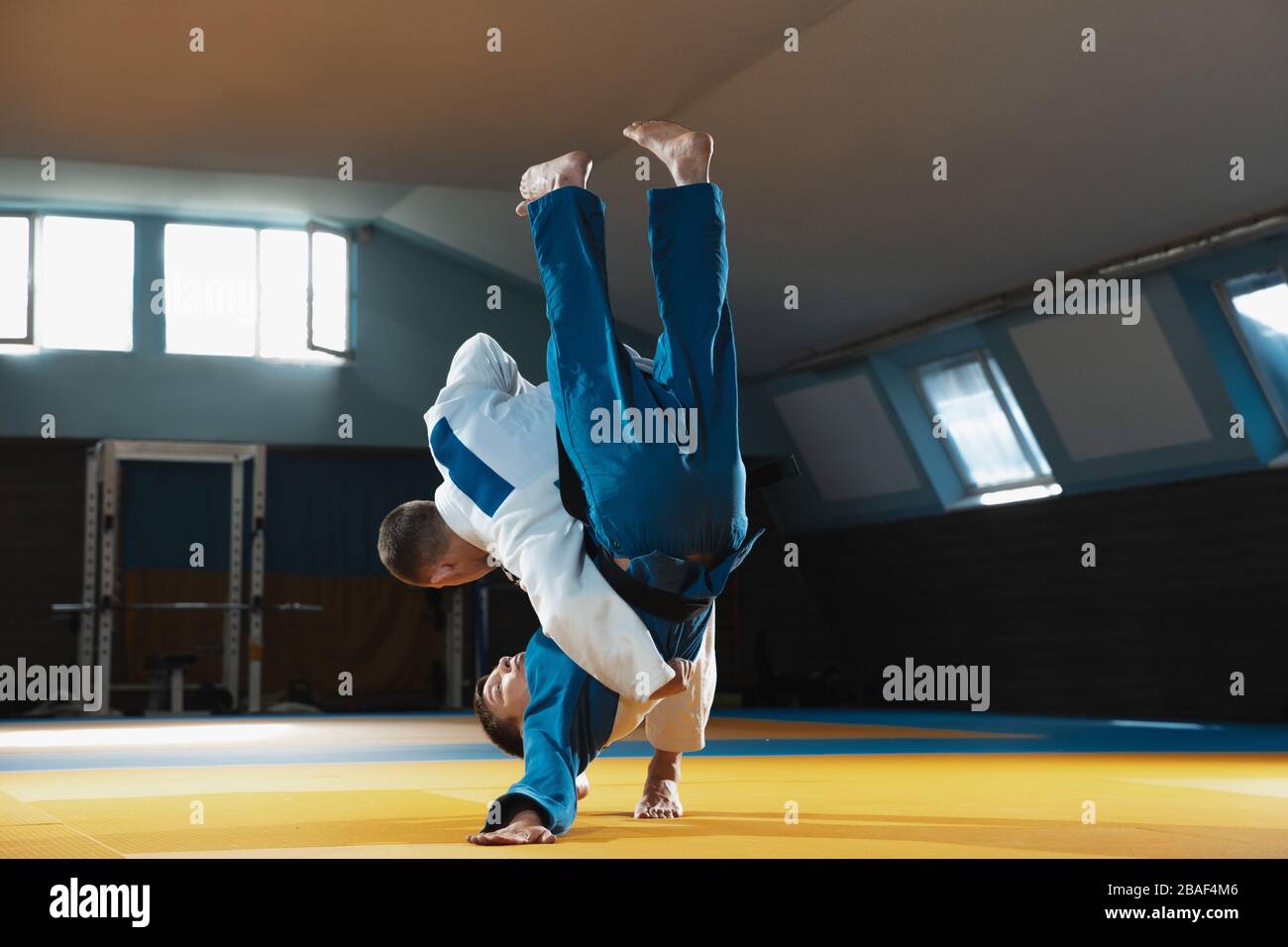Two young judo caucasian fighters in white and blue kimono with black ...