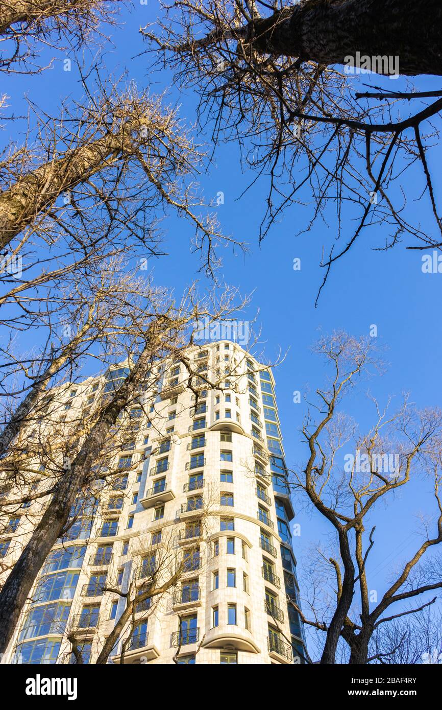 Skyscraper among trees hi-res stock photography and images - Alamy
