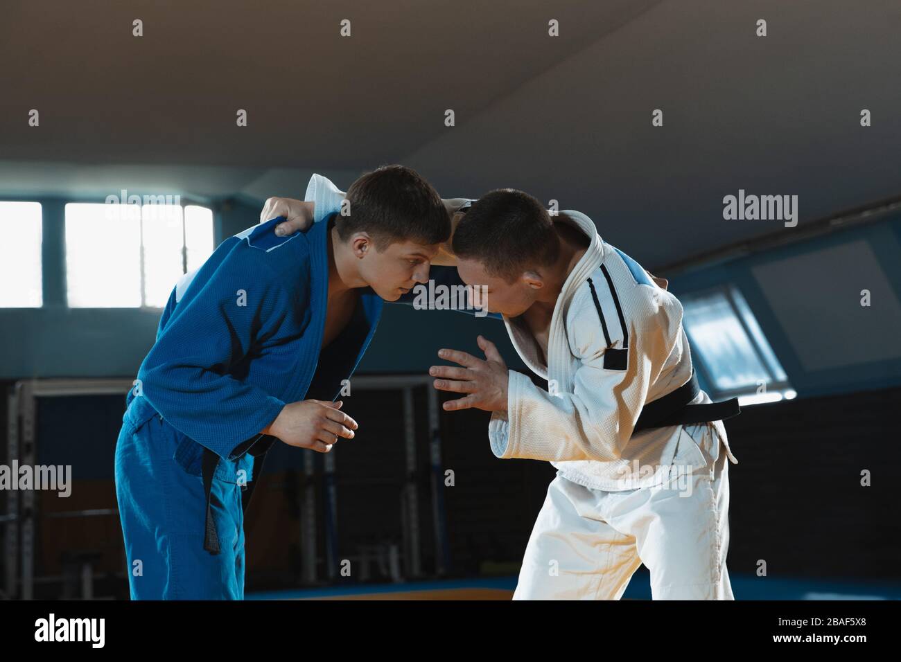 Judo Fighting Techniques