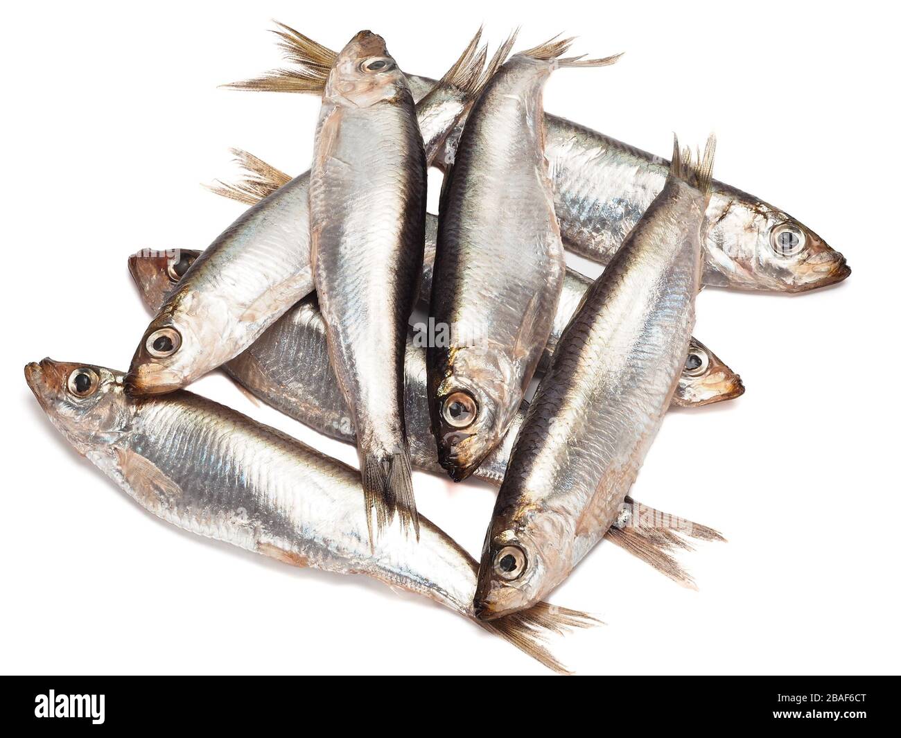 Sprat catch Cut Out Stock Images & Pictures - Alamy