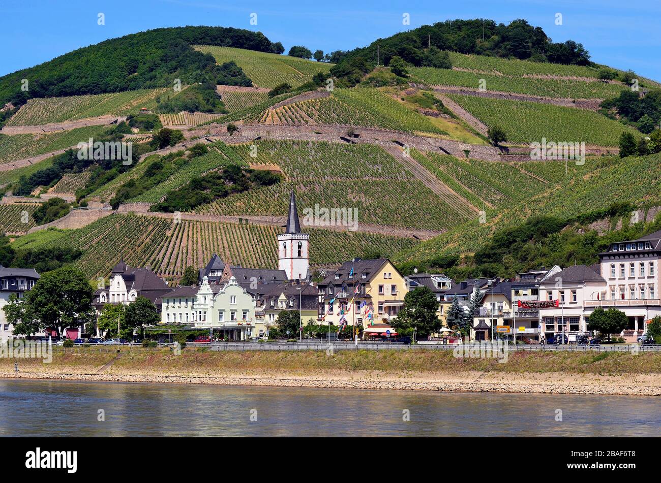 Rhineland agriculture hi-res stock photography and images - Alamy