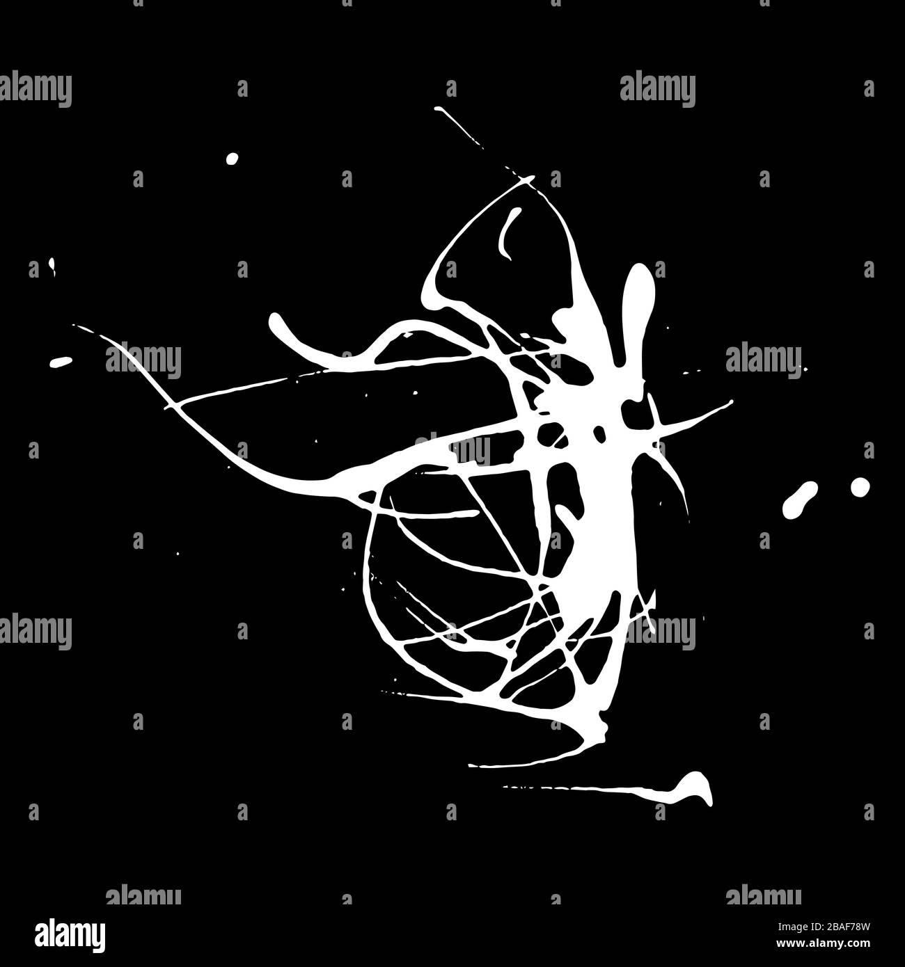 Exquisite shape Black and White Stock Photos & Images - Alamy