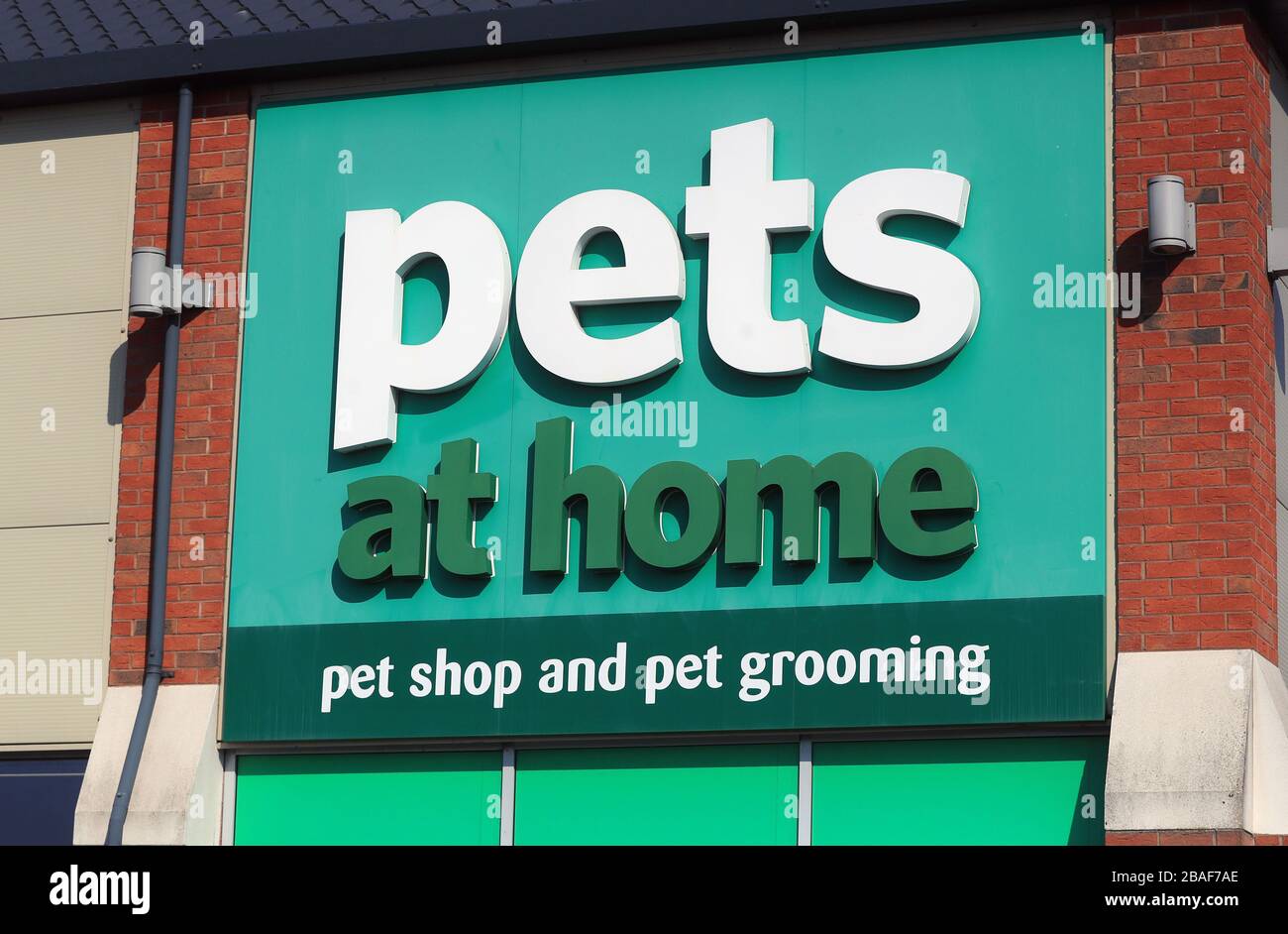 A general view of a Pets at Home store Stock Photo - Alamy