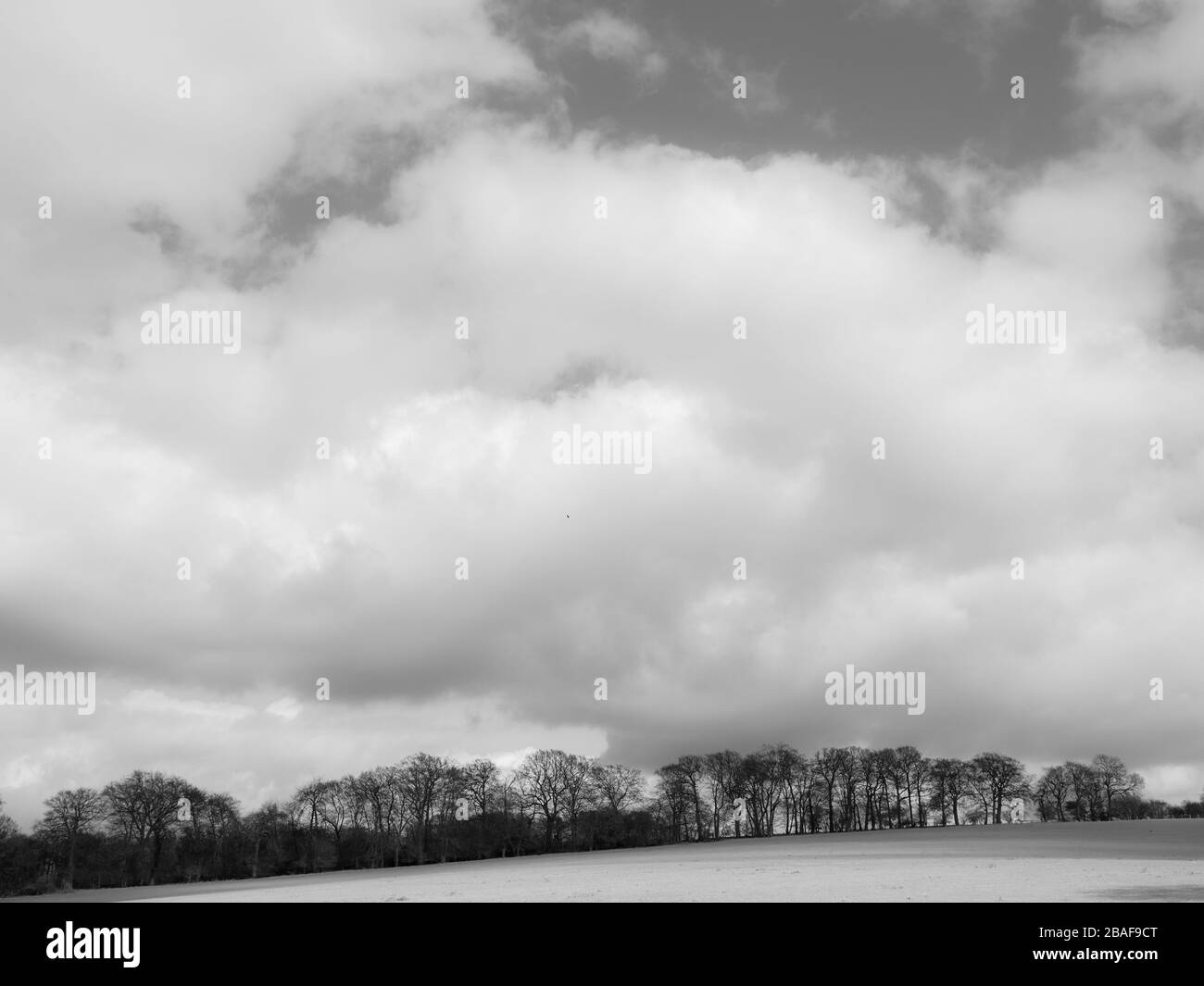 The Chiltern Hills, AONB, Black and White Landscape, Winter Sky's ...