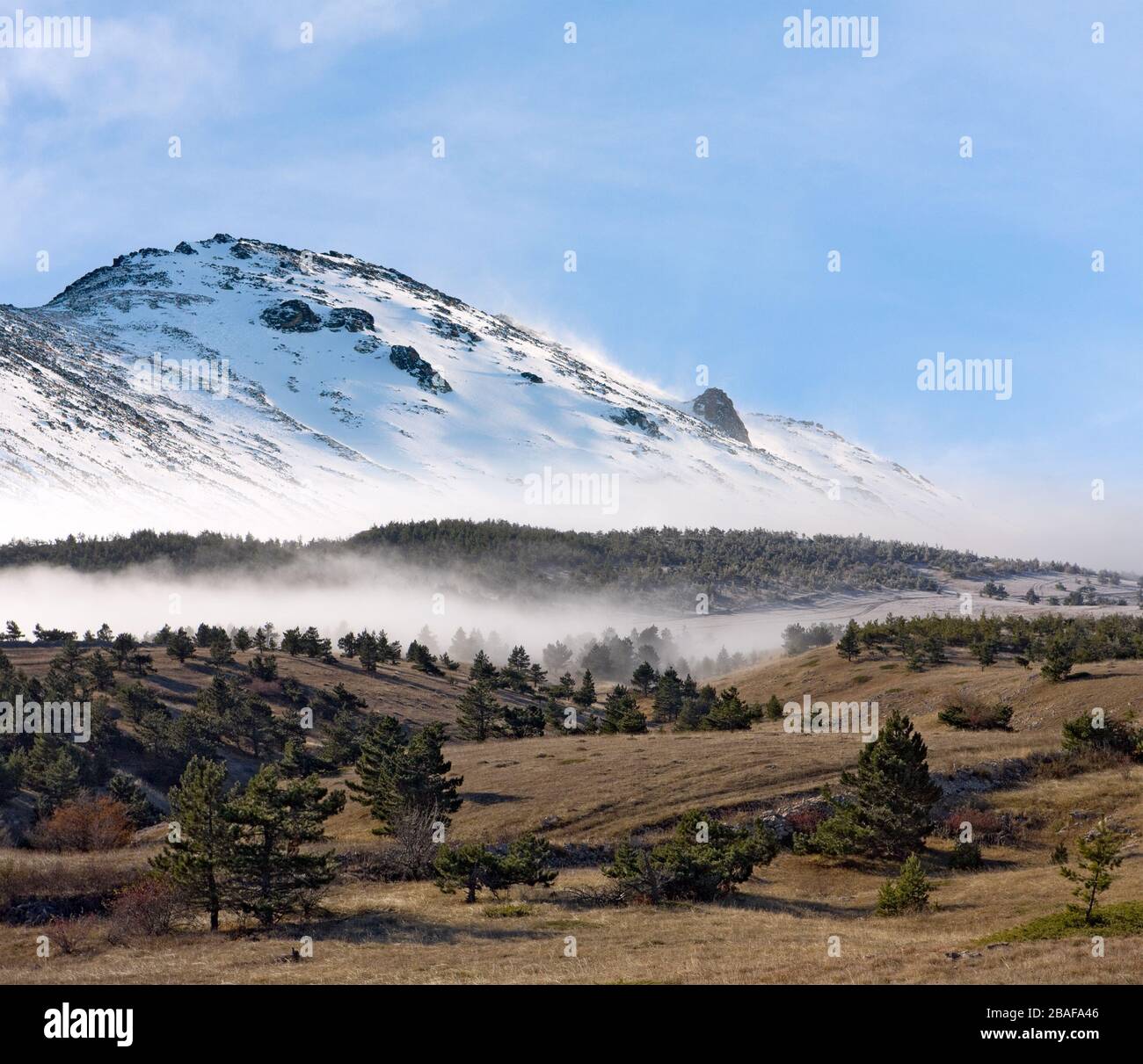 Nice scene in hi-res stock photography and images - Alamy