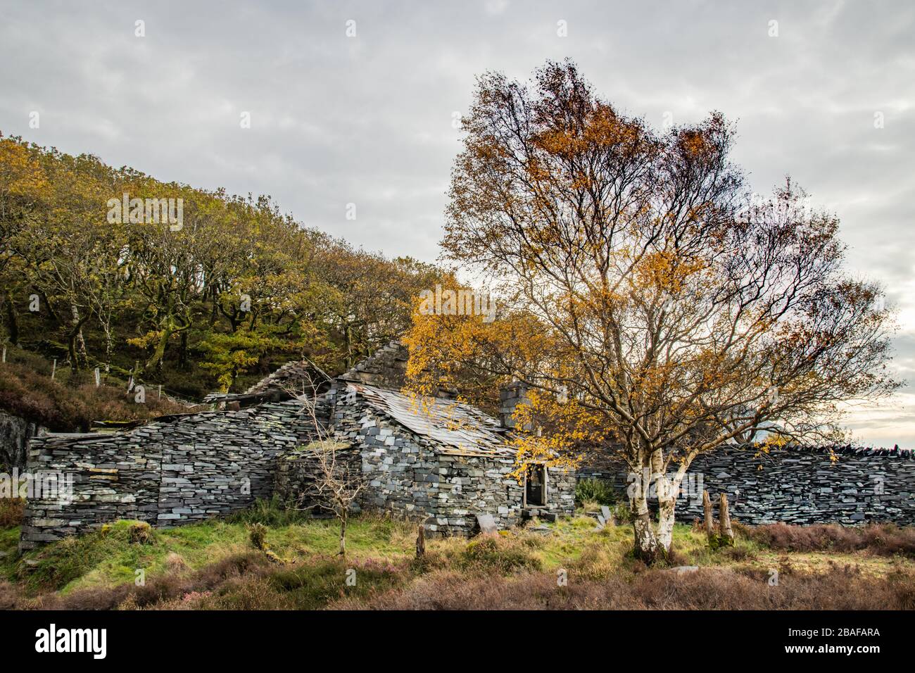 Welsh stone cottage hi-res stock photography and images - Alamy