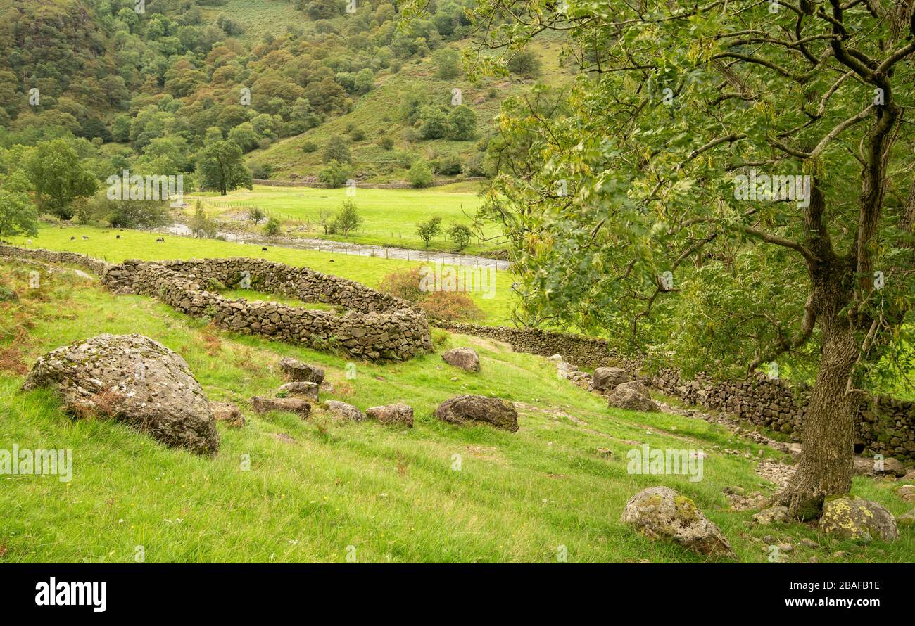 Sheep fold hi-res stock photography and images - Alamy
