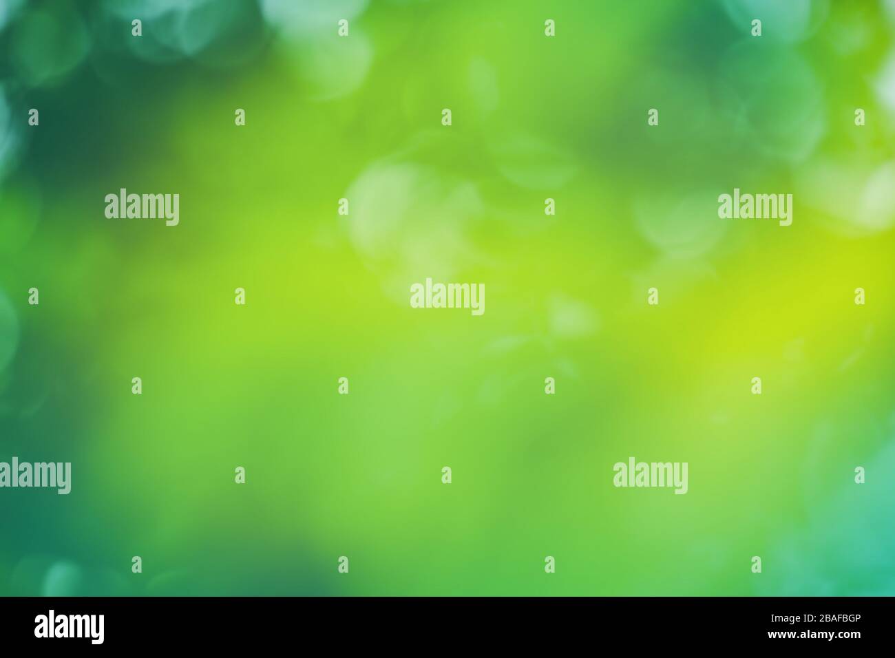 Empty blurred city park background. Green blurred background. Natural ...