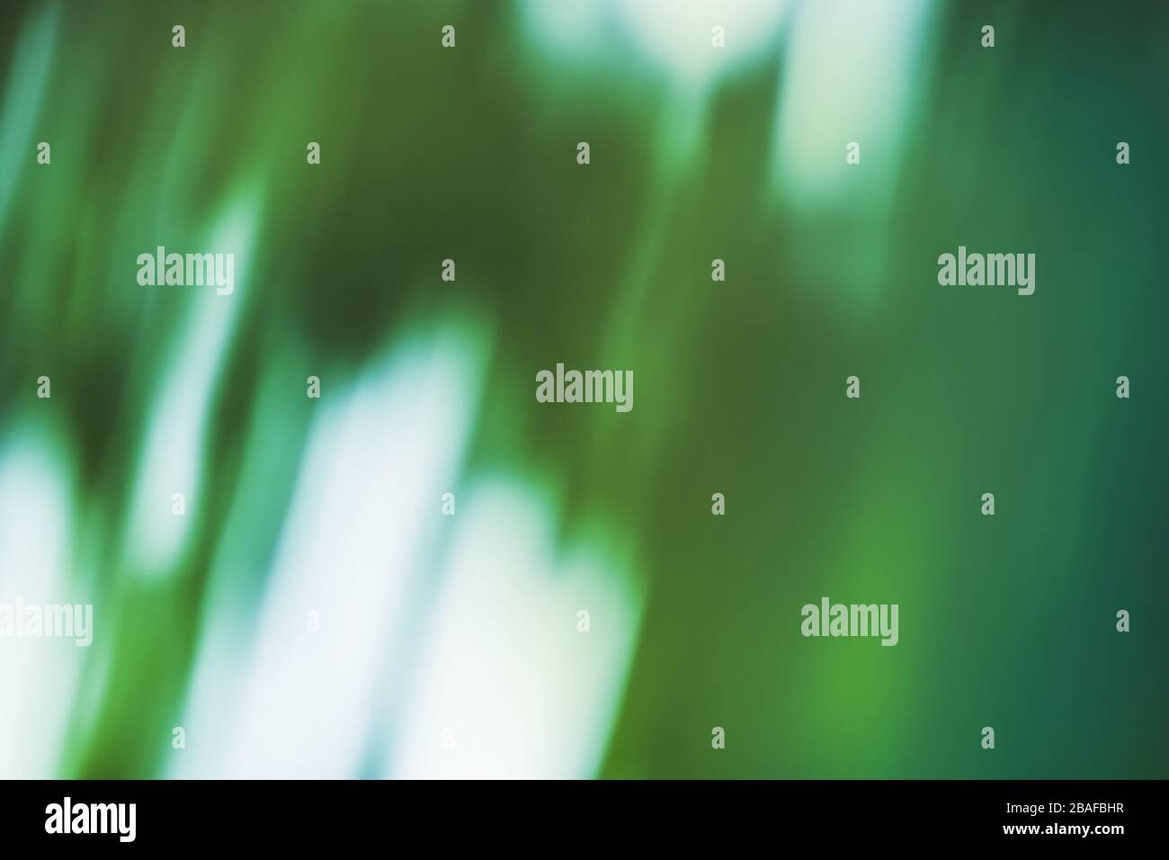 Empty blurred city park background. Green blurred background. Natural ...