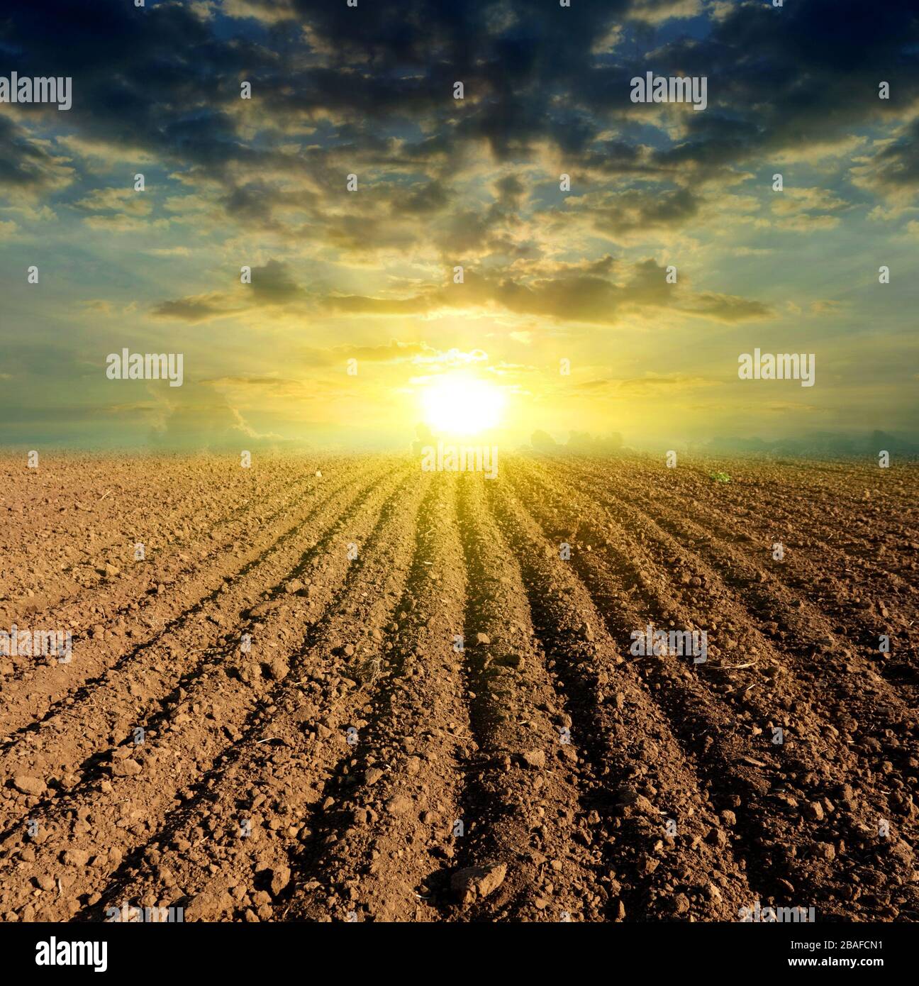 Ploughed soil sunrise hi-res stock photography and images - Alamy