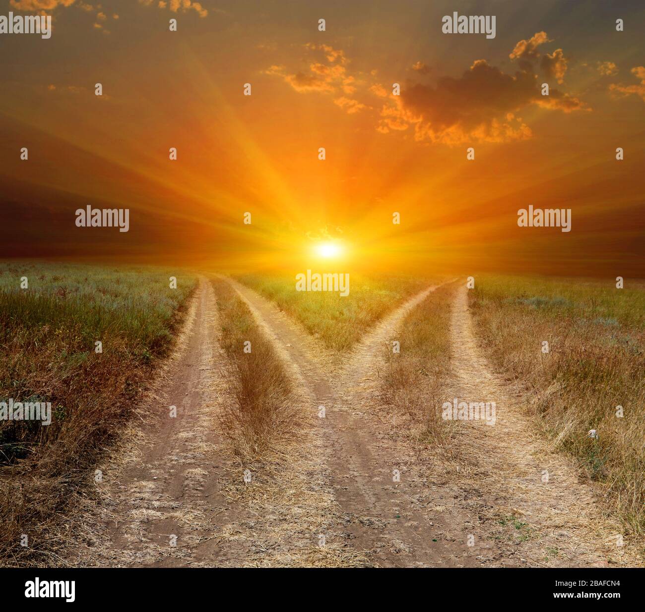 rural road to sunset Stock Photo - Alamy
