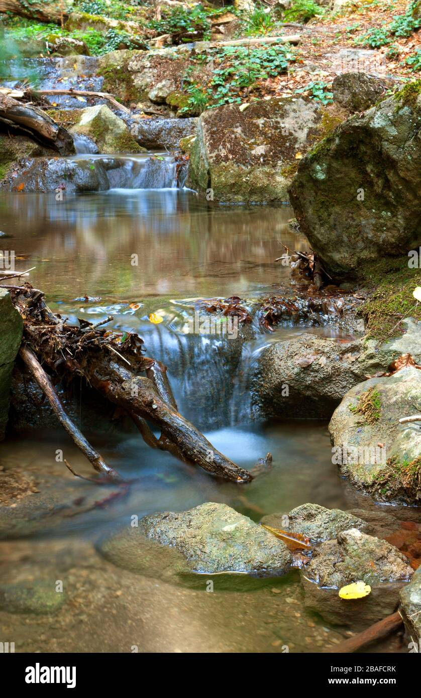 Scene with brook in mountain forest Stock Photo - Alamy