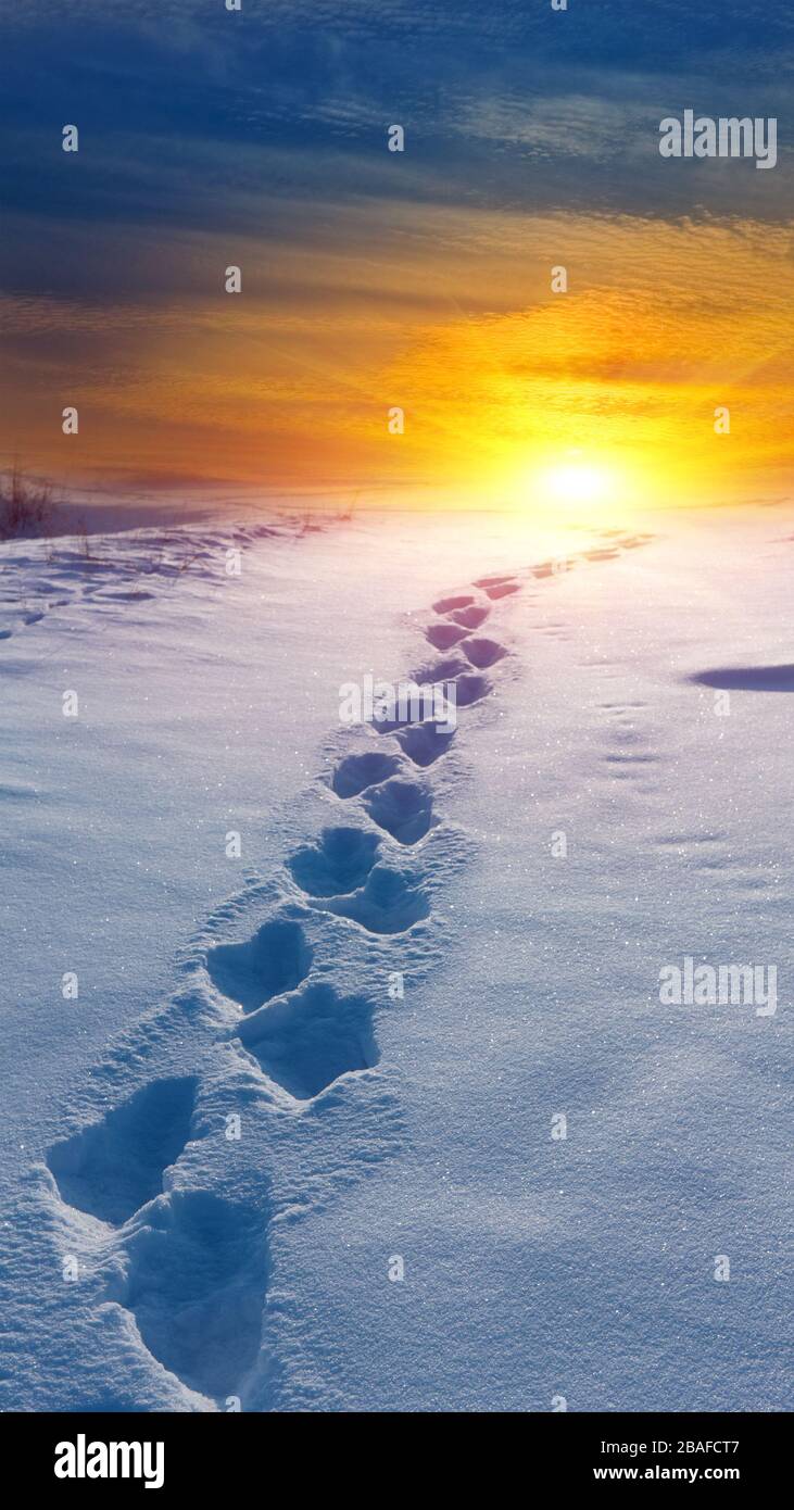 snow-path in steppe on sunset background Stock Photo - Alamy