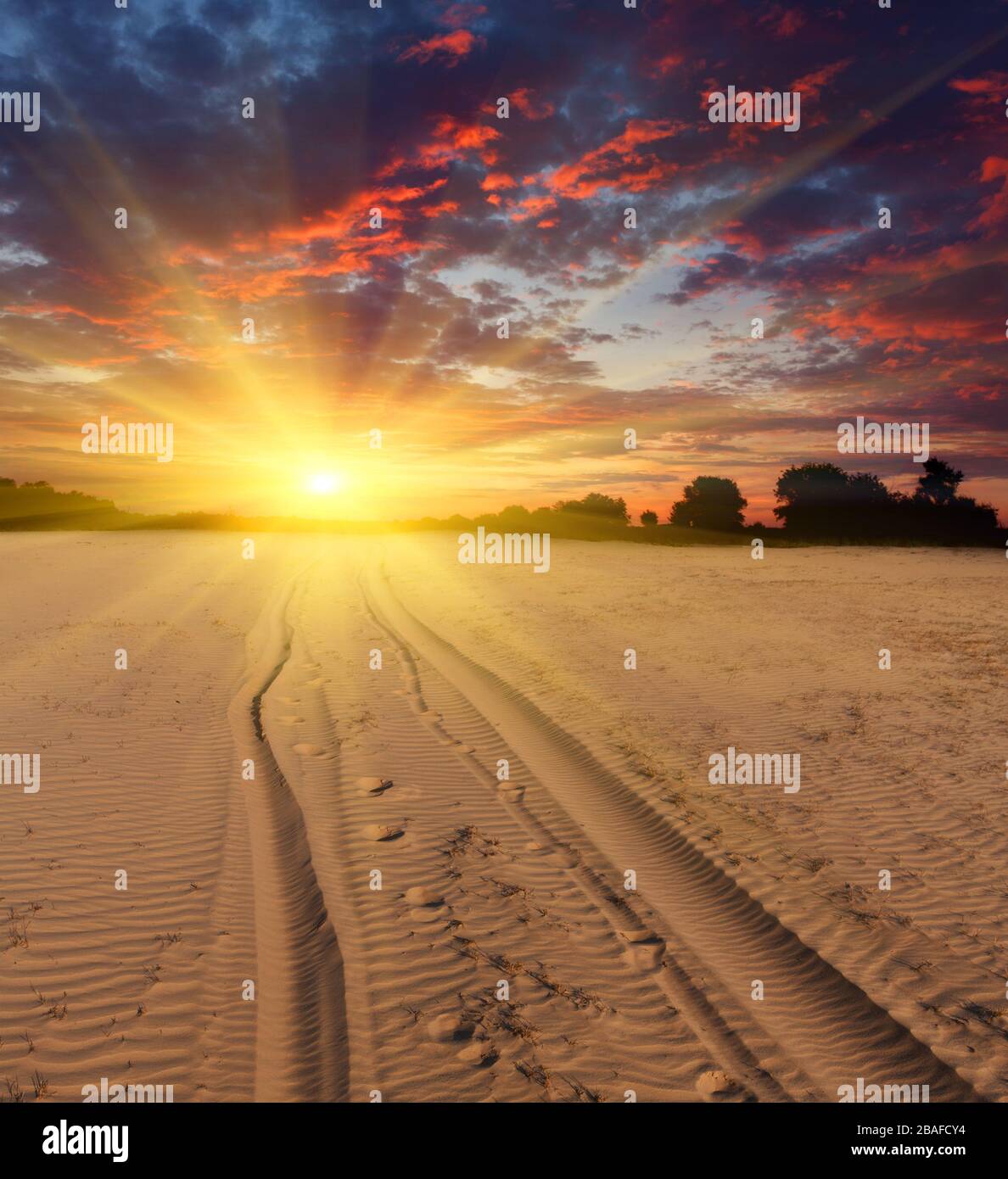 road in desert with sunset background Stock Photo - Alamy
