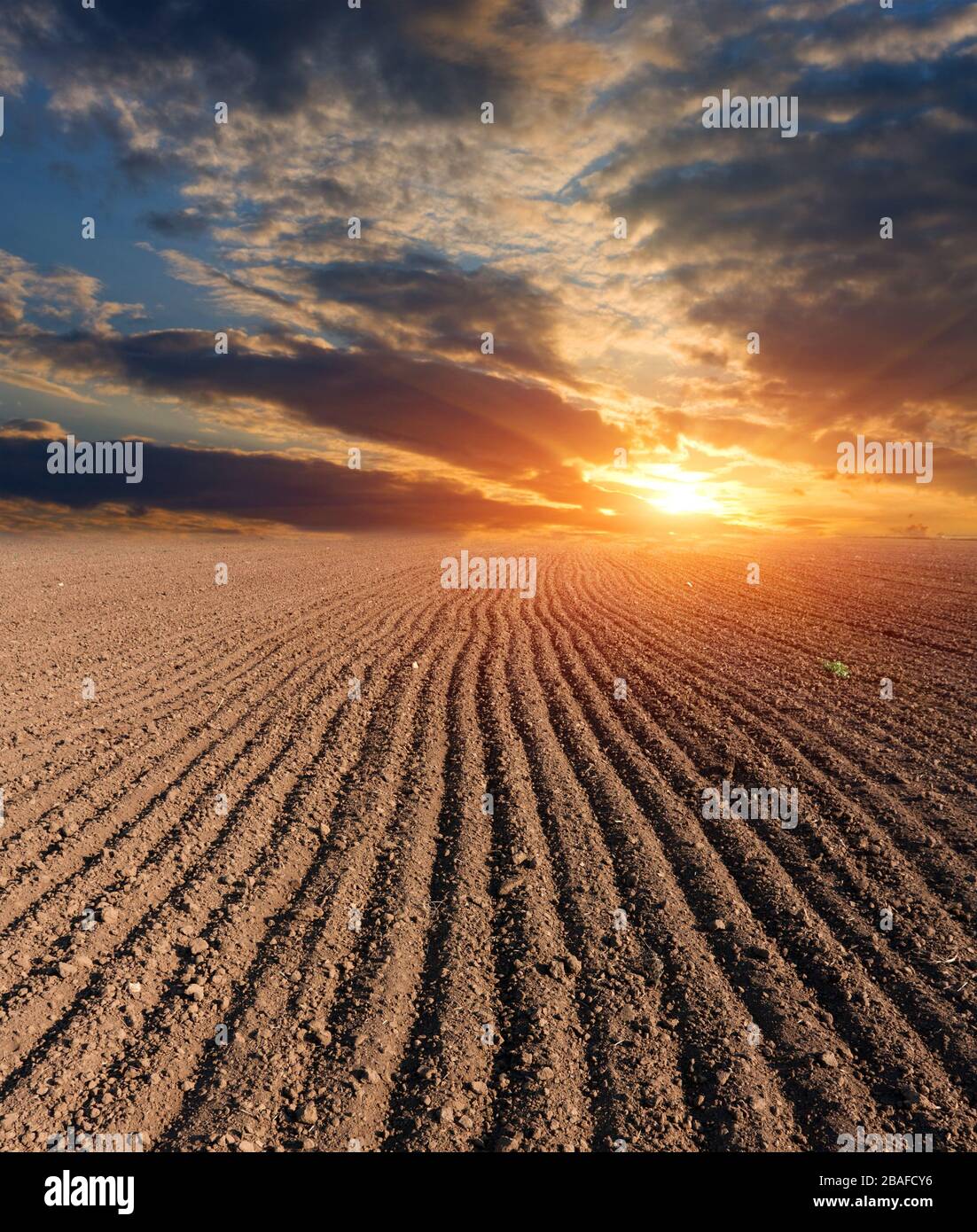 Ploughed farm field hi-res stock photography and images - Alamy