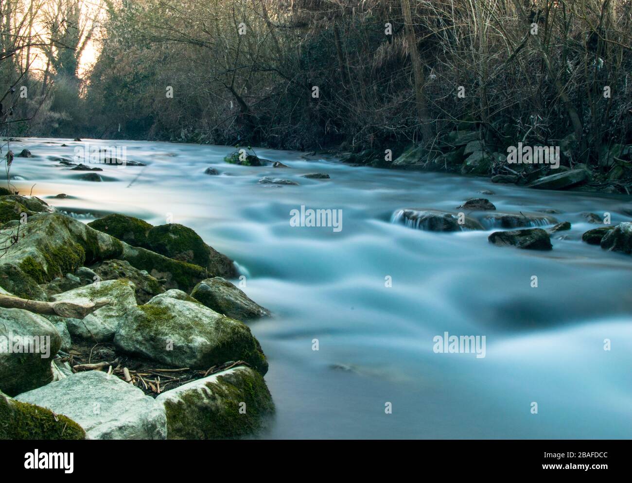Beautiful scenery of a river in a forest surrounded by bushes Stock ...