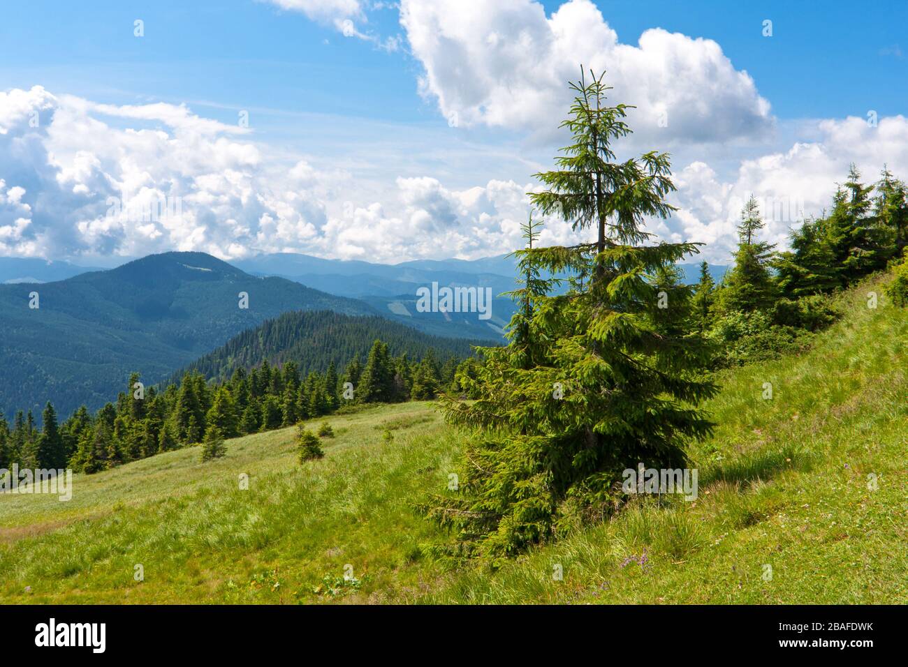 Nice scene in hi-res stock photography and images - Alamy