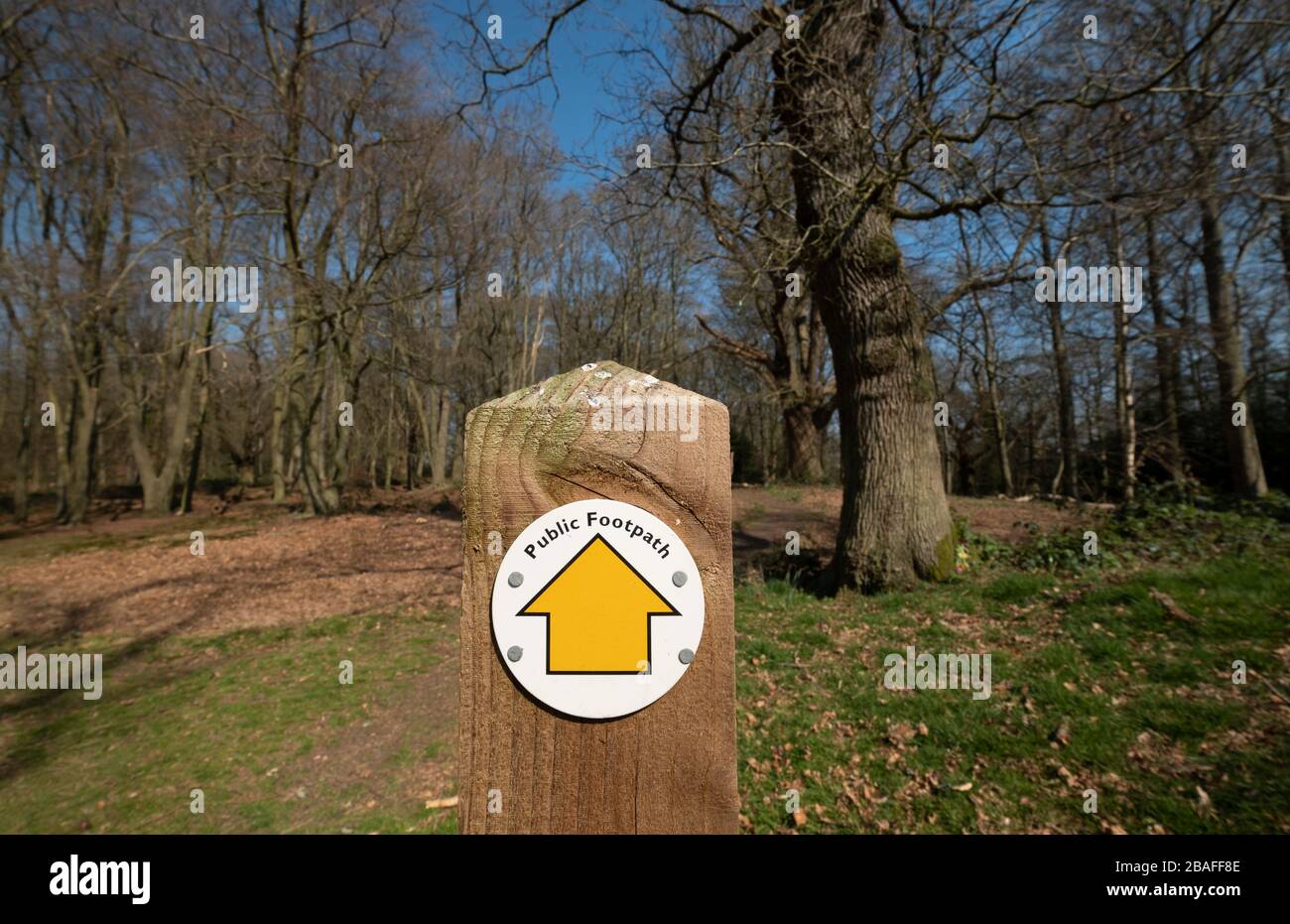 A footpath marker post points the way forward in woodland in ...