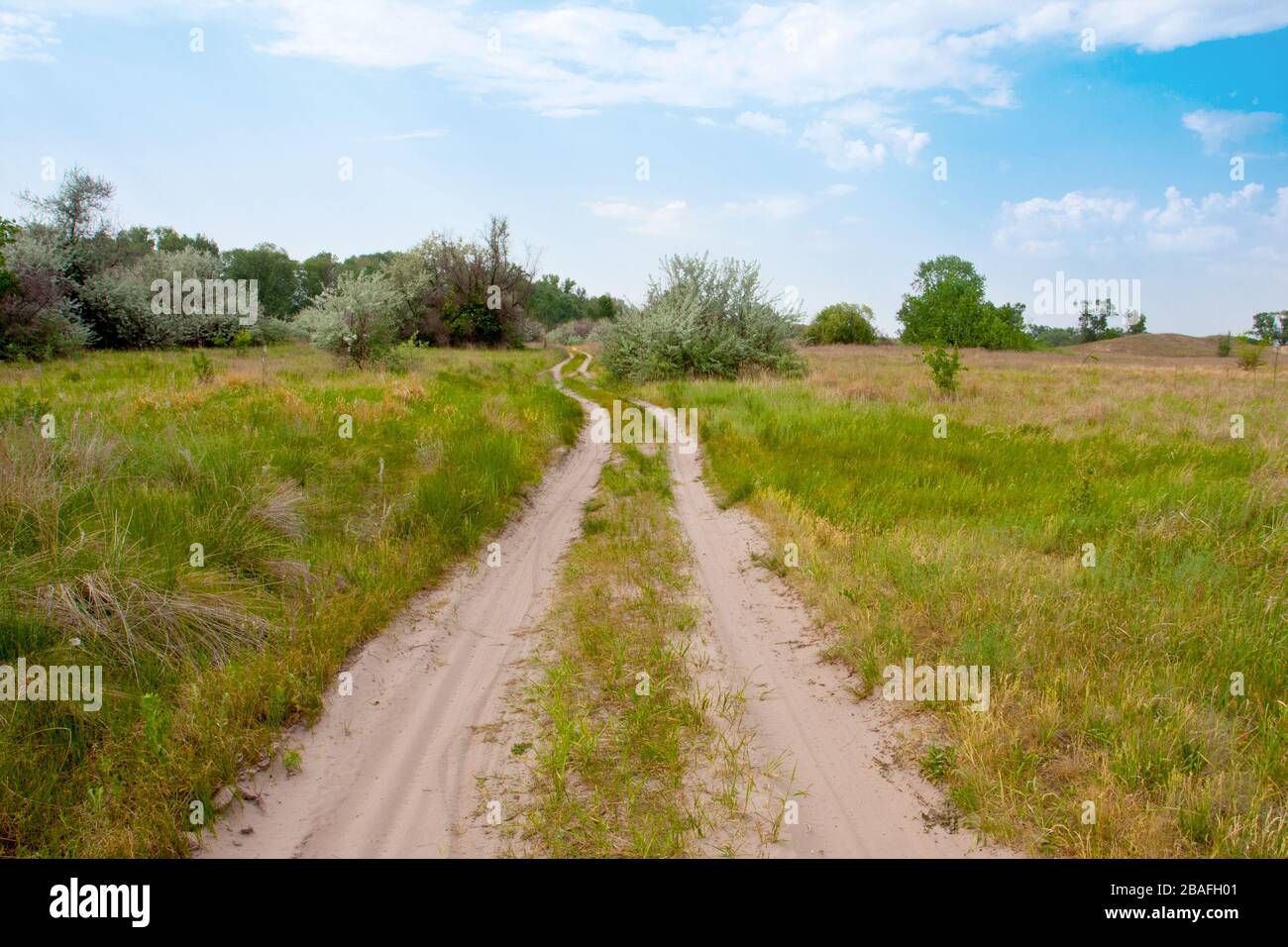 sandy road in steppe in summer day Stock Photo - Alamy
