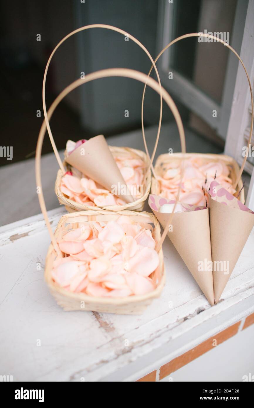 Rose petals for wedding ceremony. Wedding day and wedding preparations ...