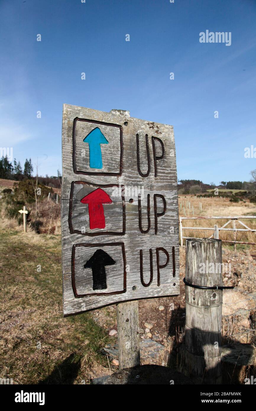 Timber trails hi-res stock photography and images - Alamy