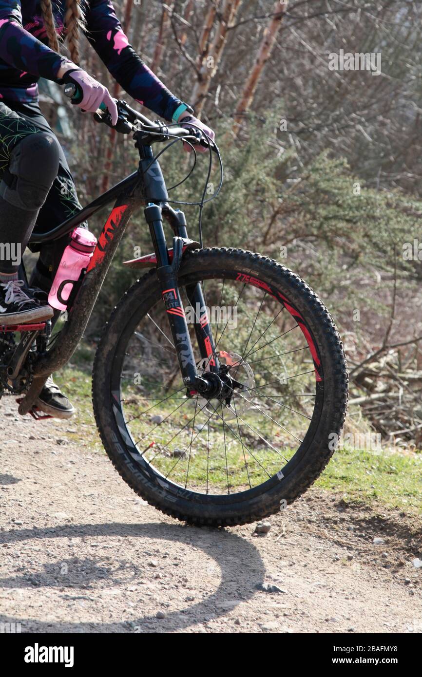 Front wheel detail of mountain bike being ridden Stock Photo - Alamy