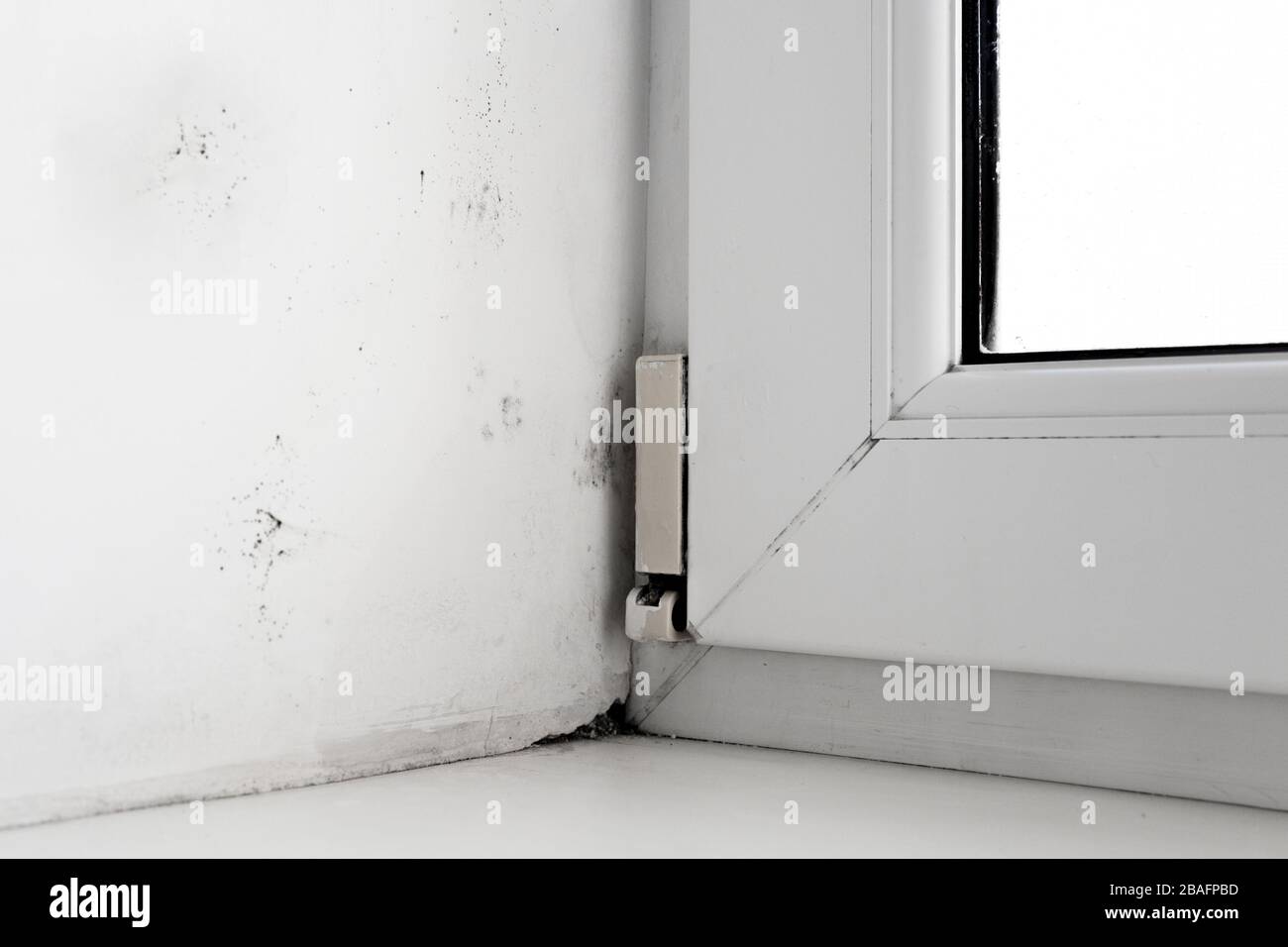 White mold basement hi-res stock photography and images - Alamy
