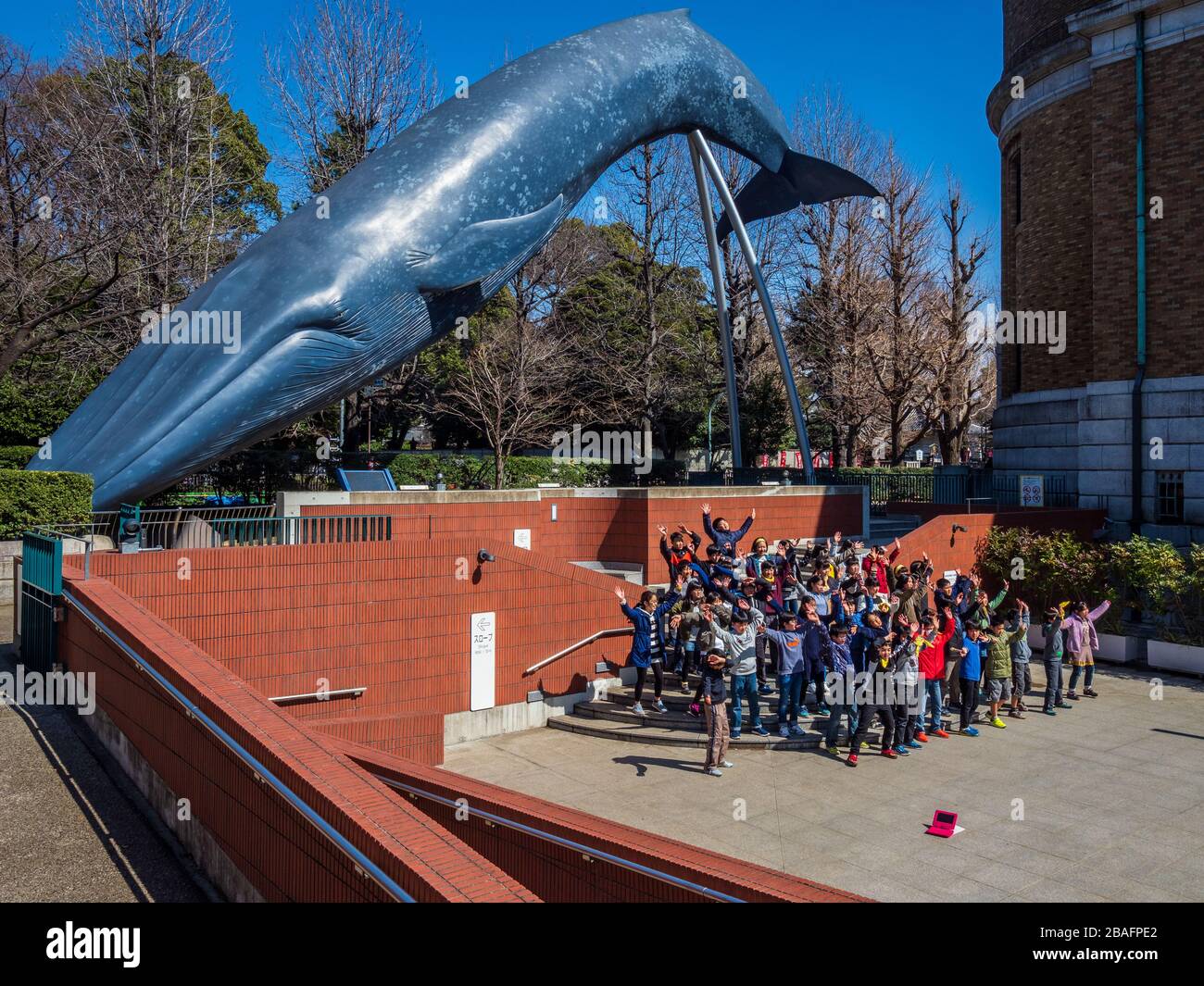 Lifesize Blue Whale Model in front of the National Museum of Nature and ...